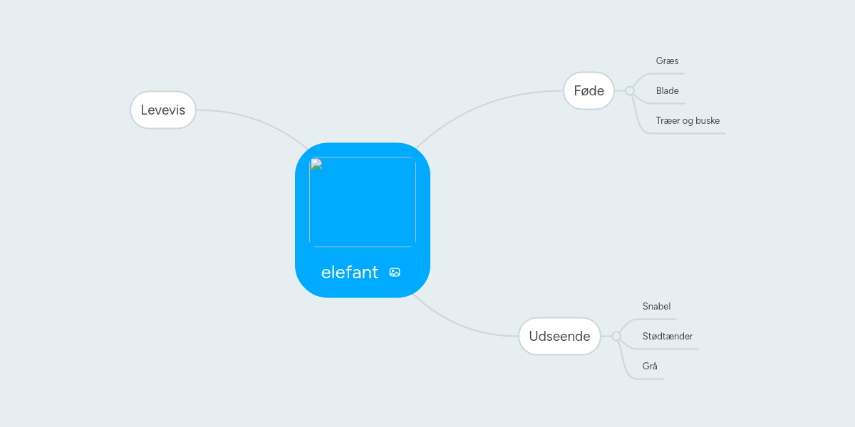 elefant | MindMeister Mindmap