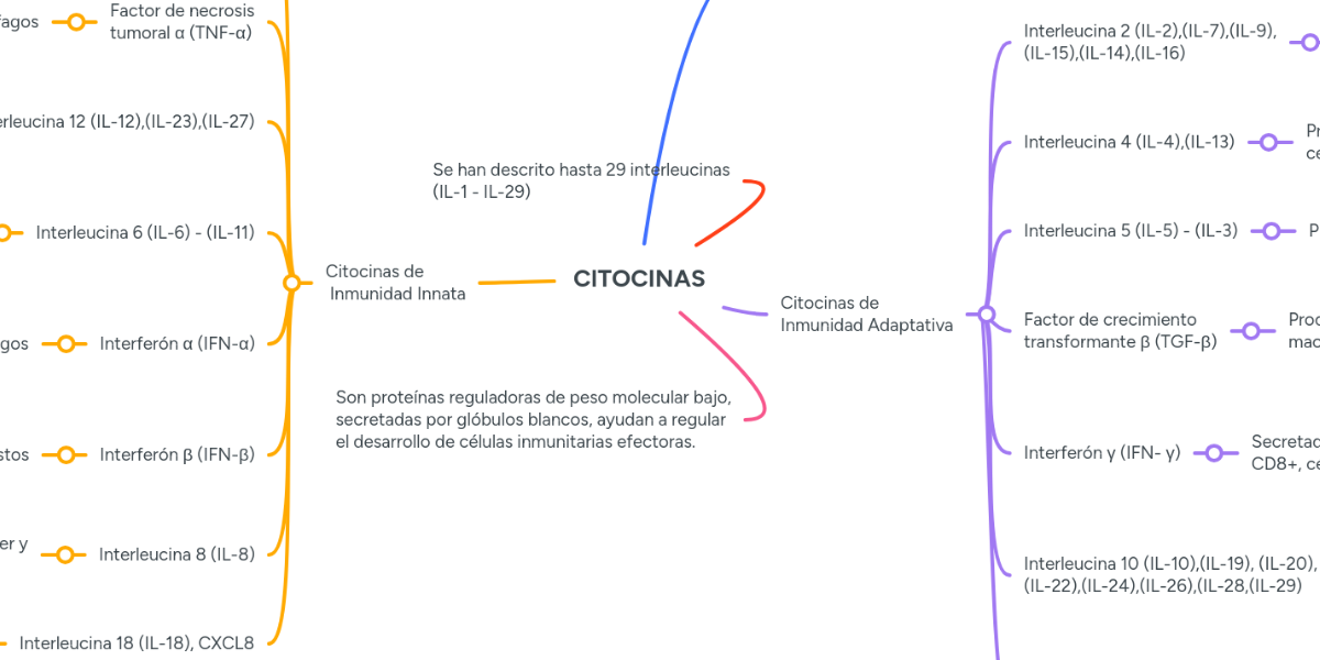 CITOCINAS | MindMeister Mapa Mental CITOCINAS | MindMeister Mapa Mental