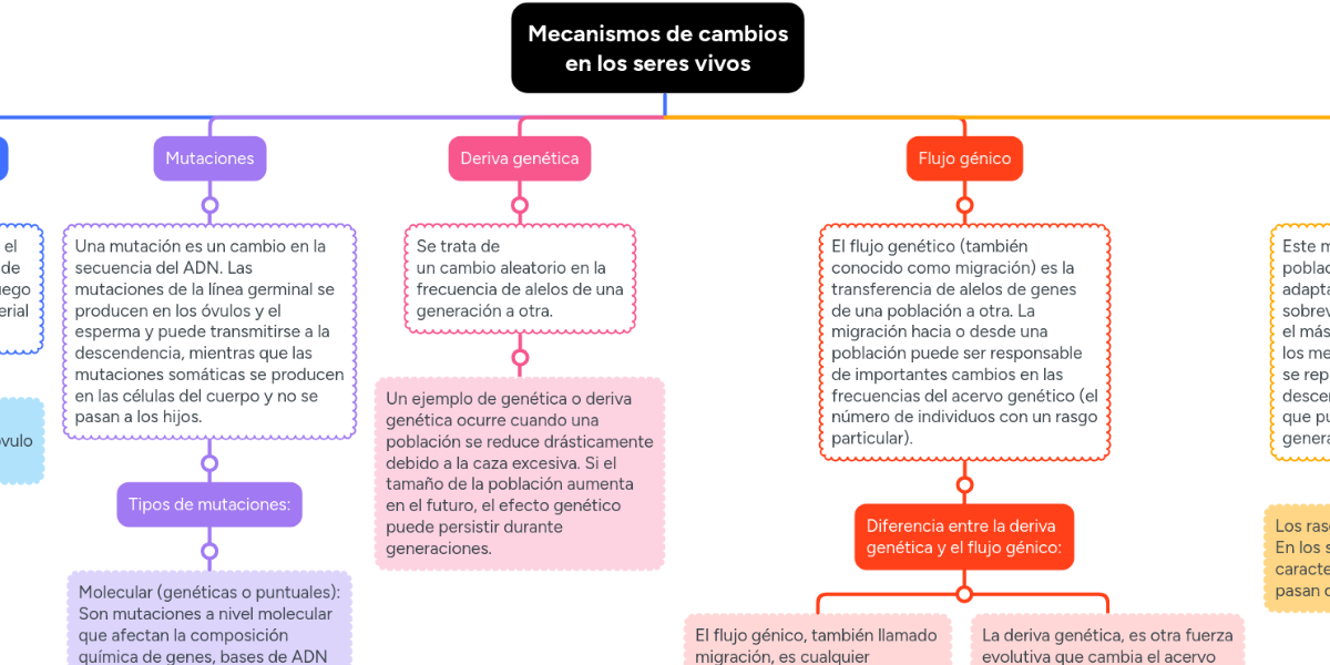 Mecanismos de cambios en los seres vivos | MindMeister Mapa Mental Mecanismos de cambios en los seres vivos | MindMeister Mapa Mental