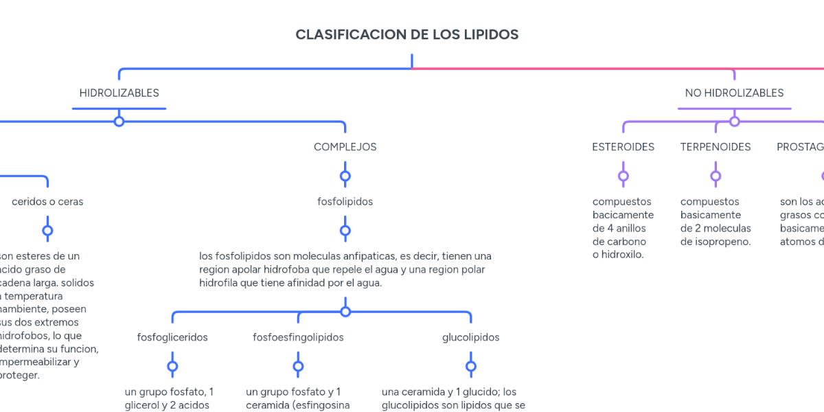 CLASIFICACION DE LOS LIPIDOS | MindMeister Mapa Mental