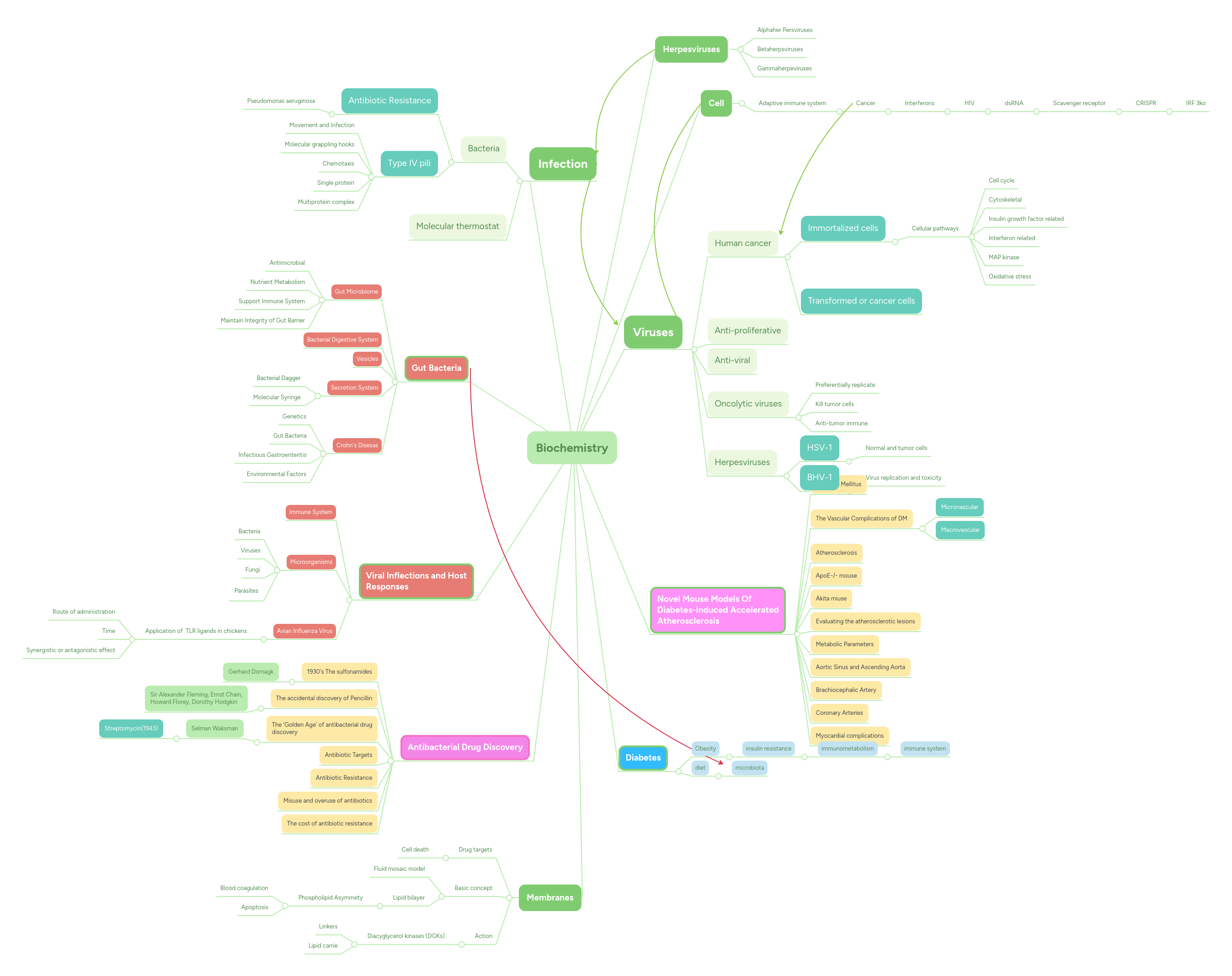 Biochemistry | MindMeister Mind map