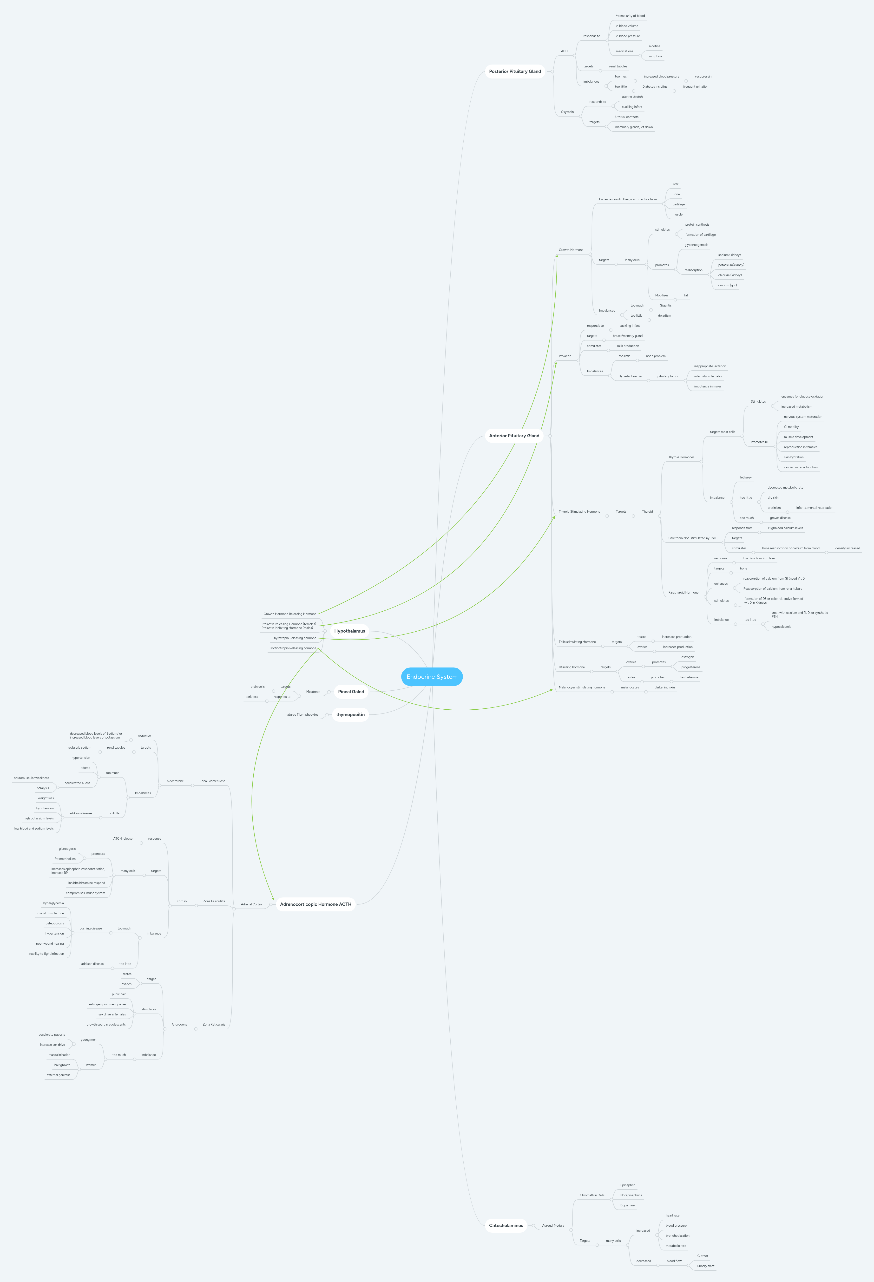 Endocrine System | MindMeister Mind map