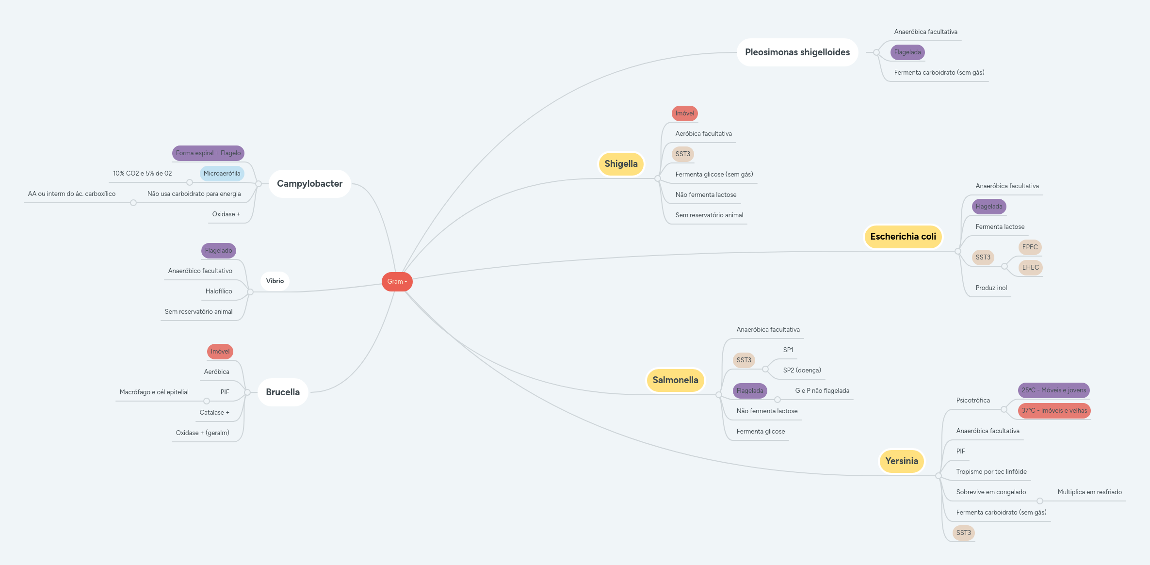 Gram - | MindMeister Mind map