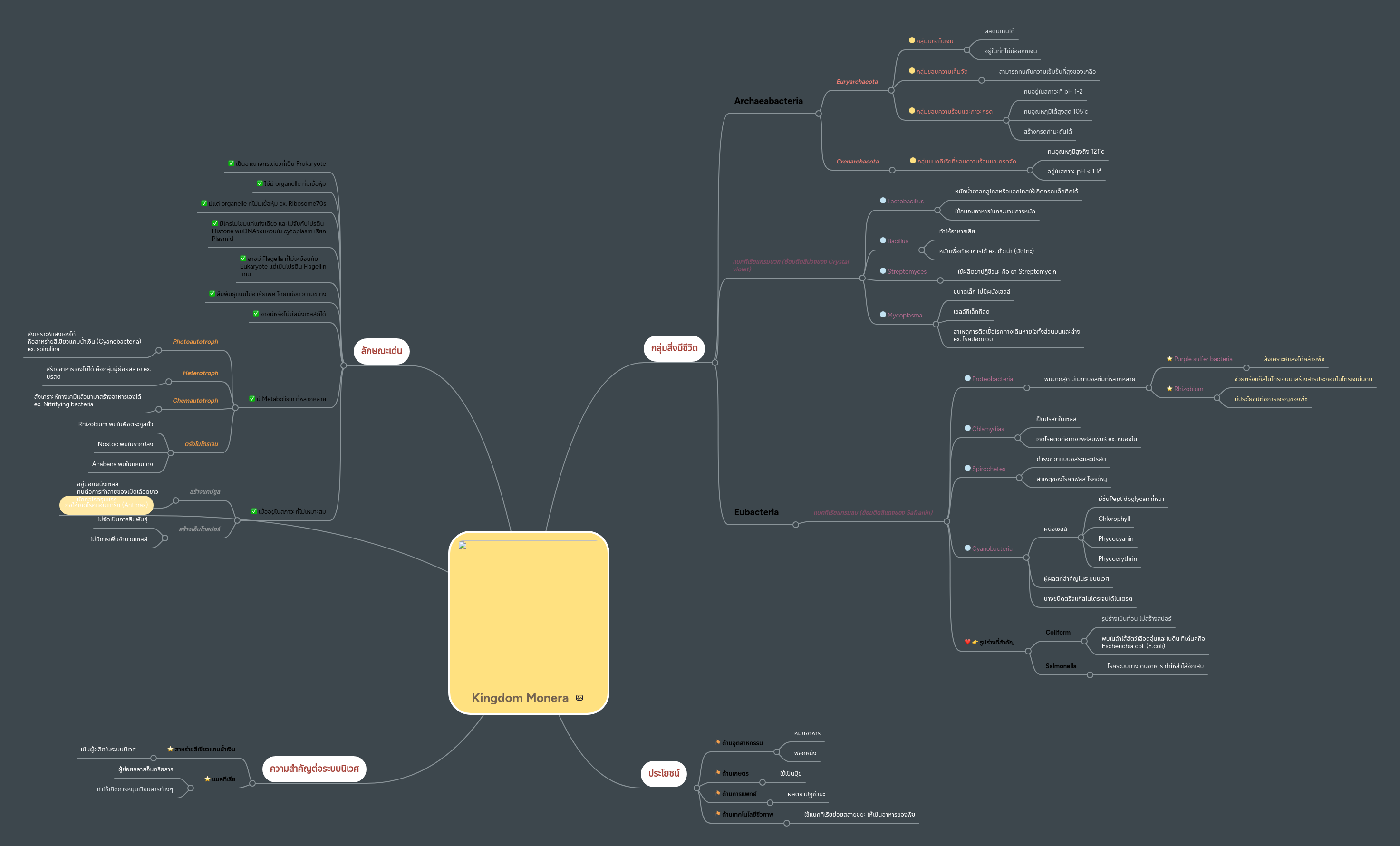 Kingdom Monera | MindMeister Mind Map