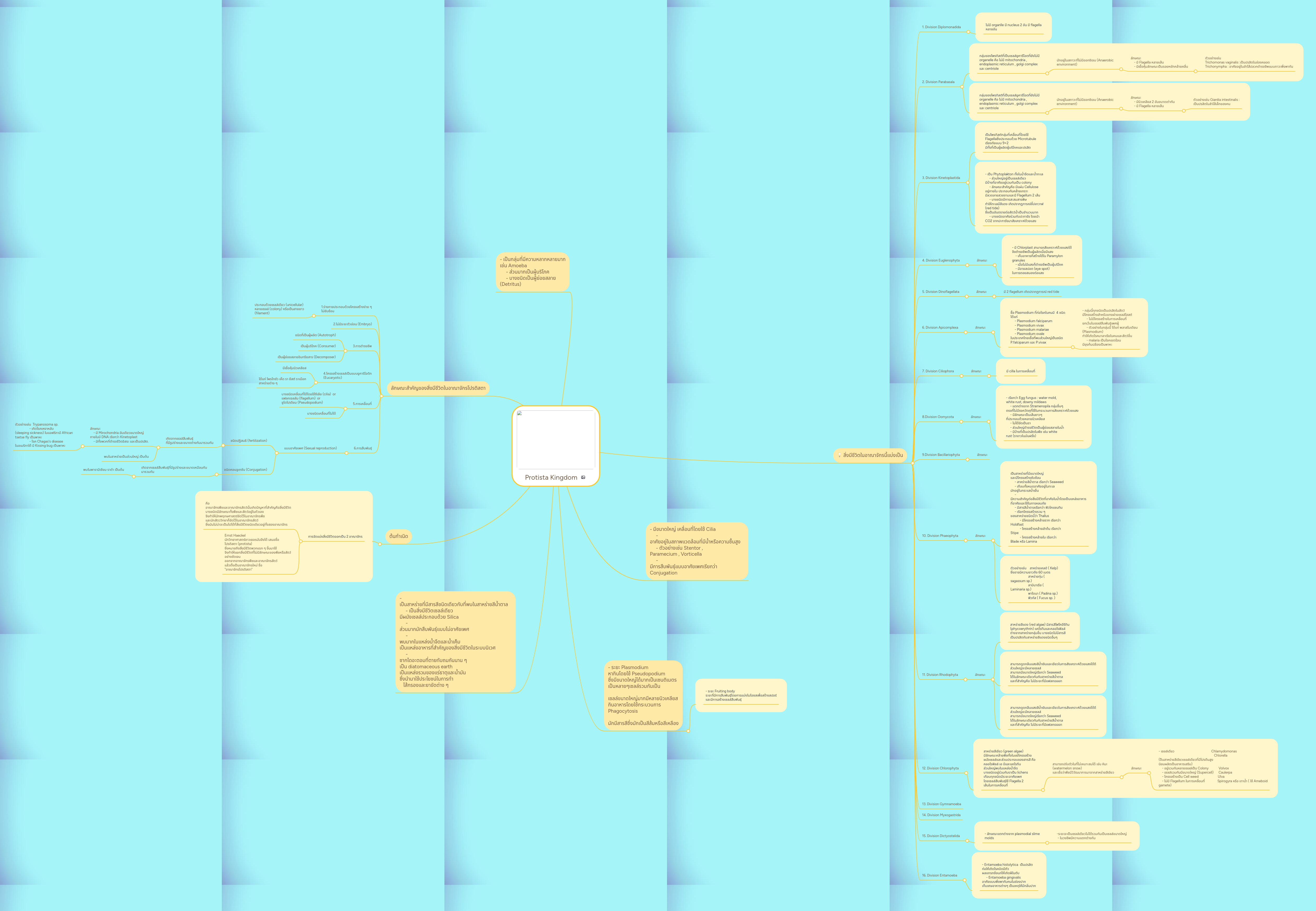 Protista Kingdom | MindMeister Mind Map