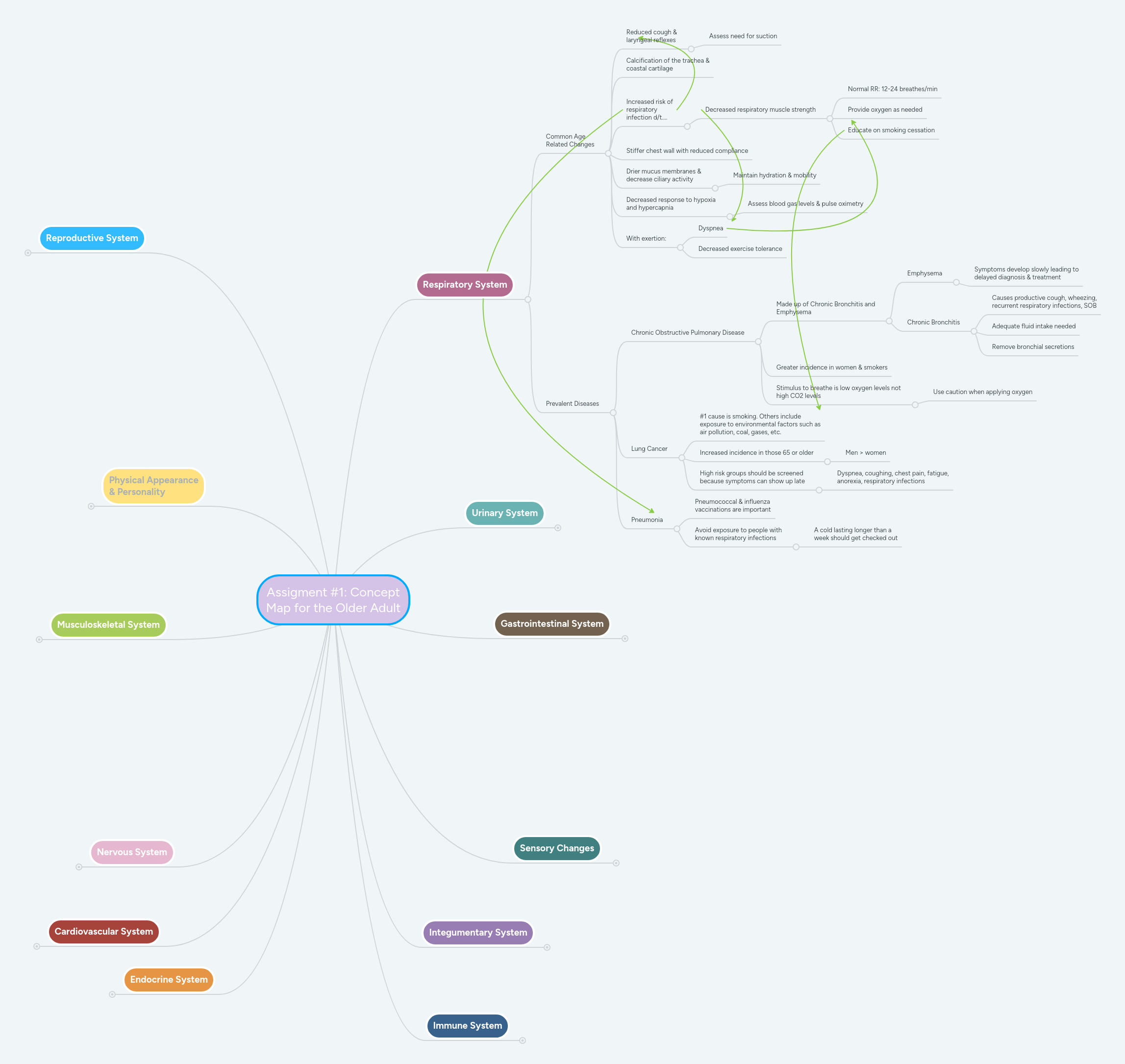 Assigment #1: Concept Map for the Older Adult | MindMeister Mind Map