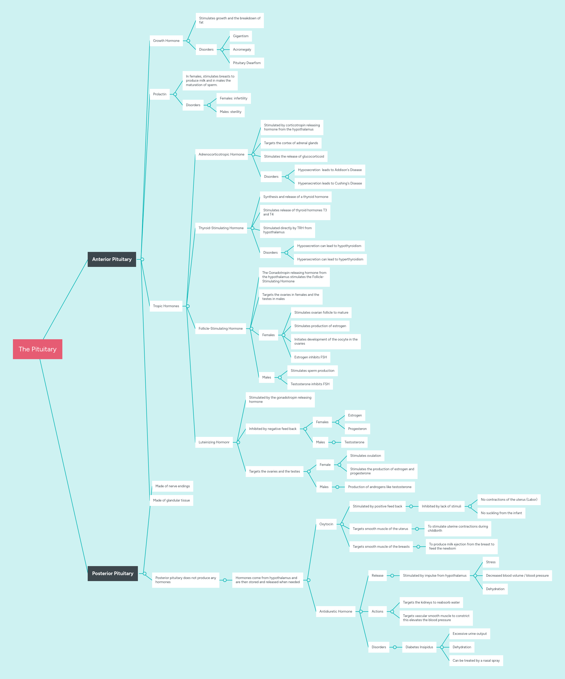 The Pituitary | MindMeister Mind map