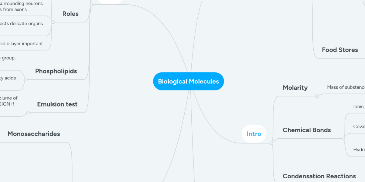Biological Molecules | MindMeister Mind Map