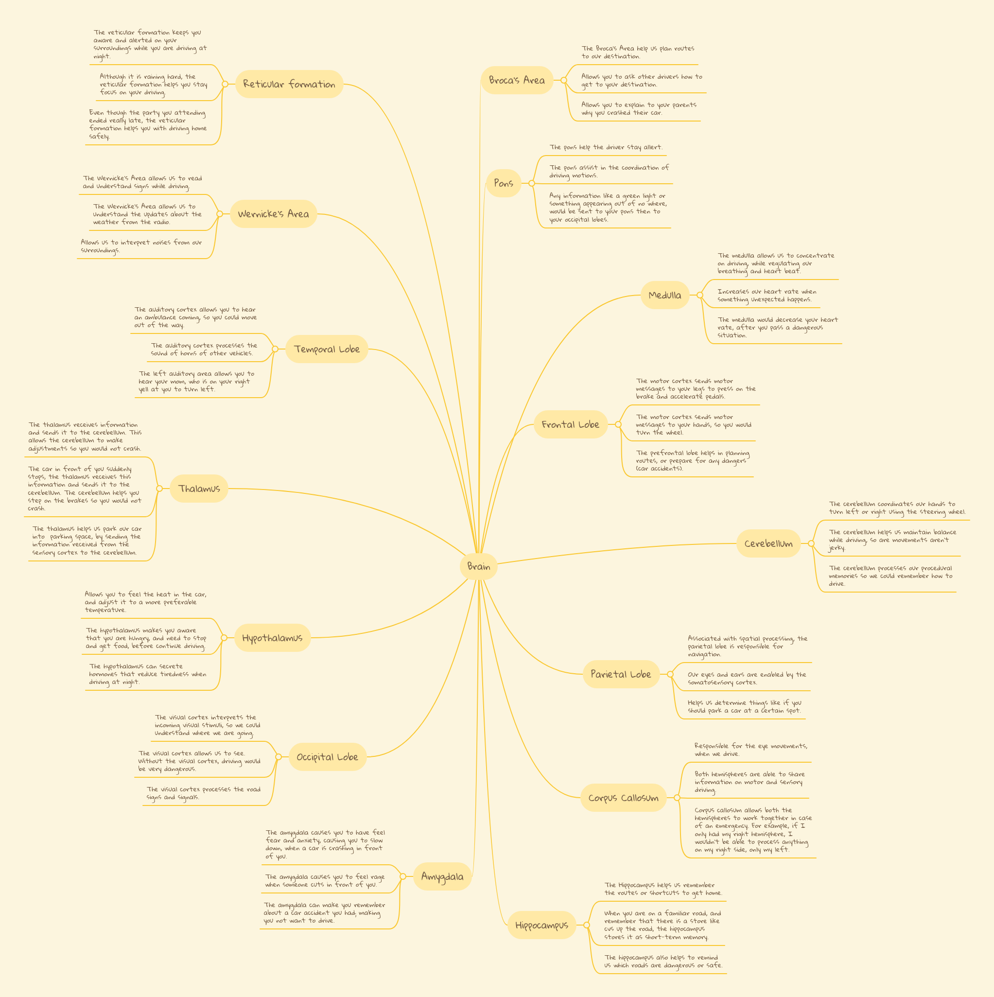 Brain | MindMeister Mind map