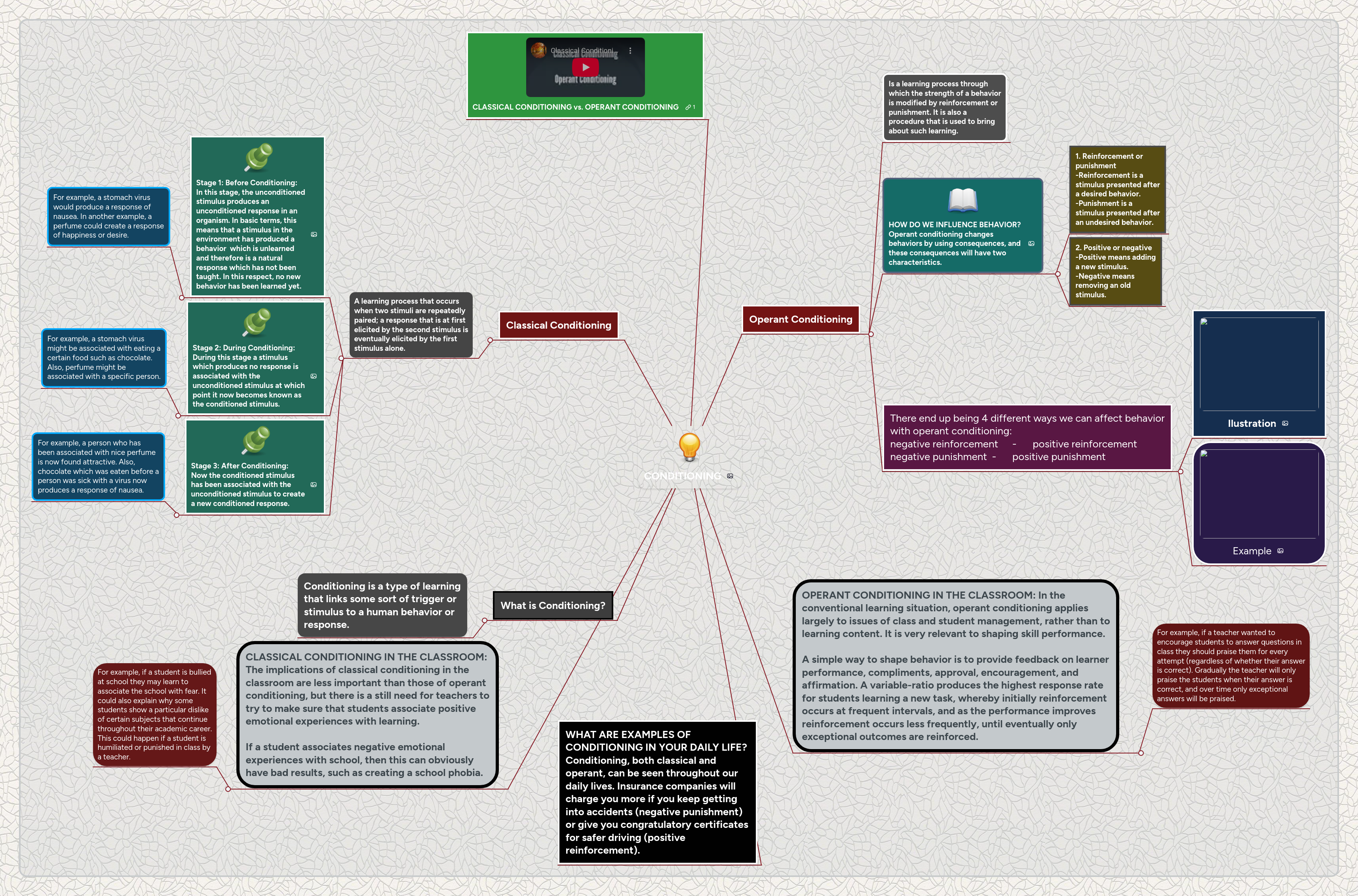 CONDITIONING | MindMeister Mind map