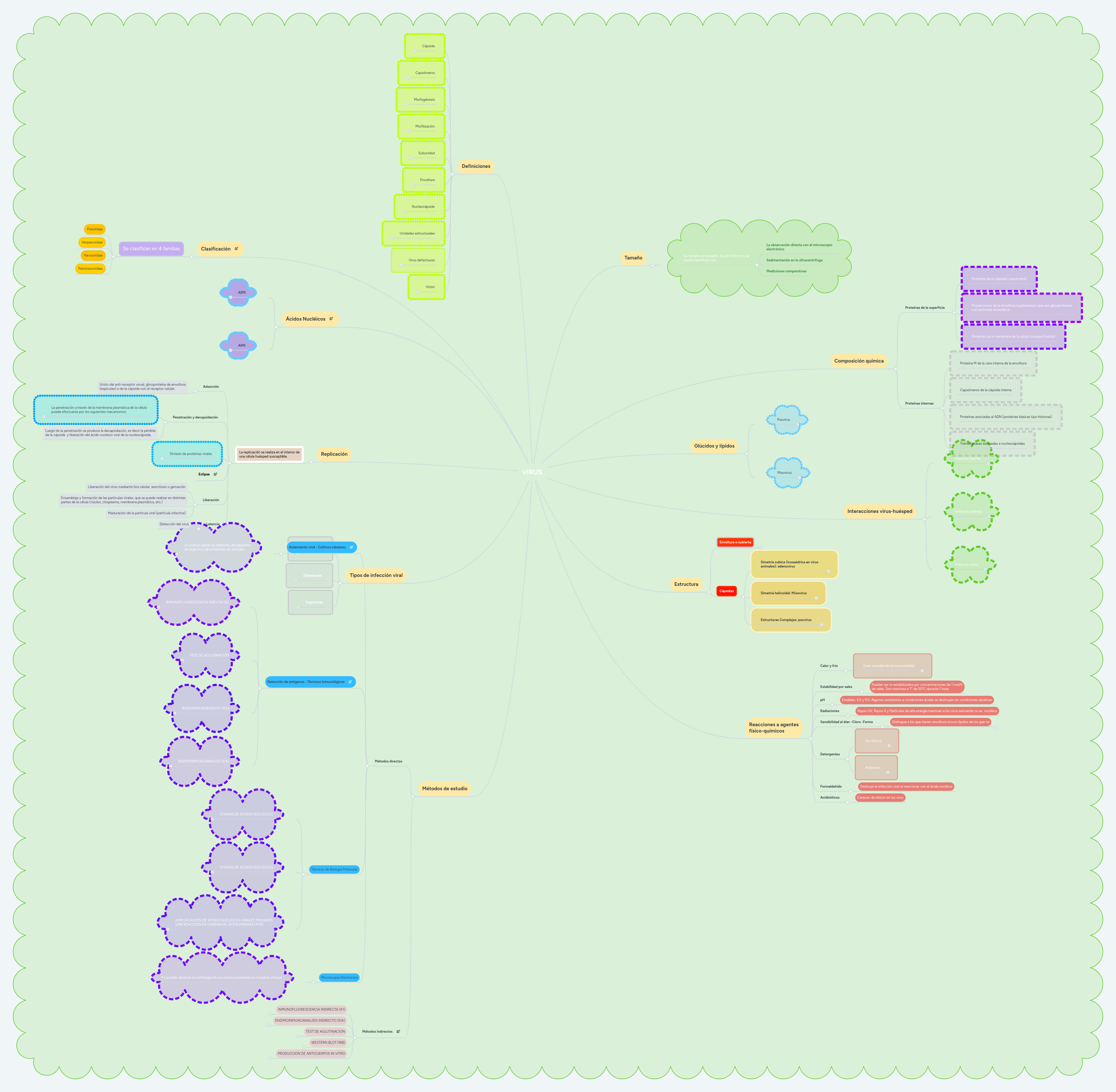 VIRUS | MindMeister Mapa mental