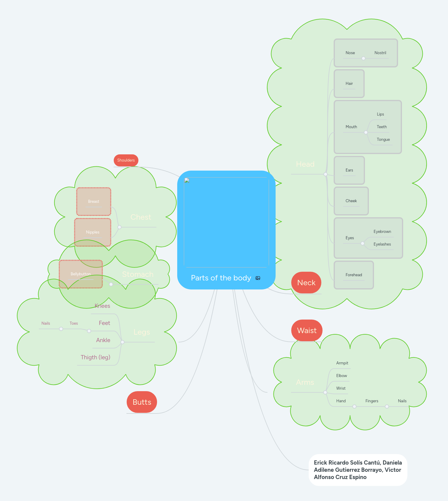Parts of the body | MindMeister Mind map
