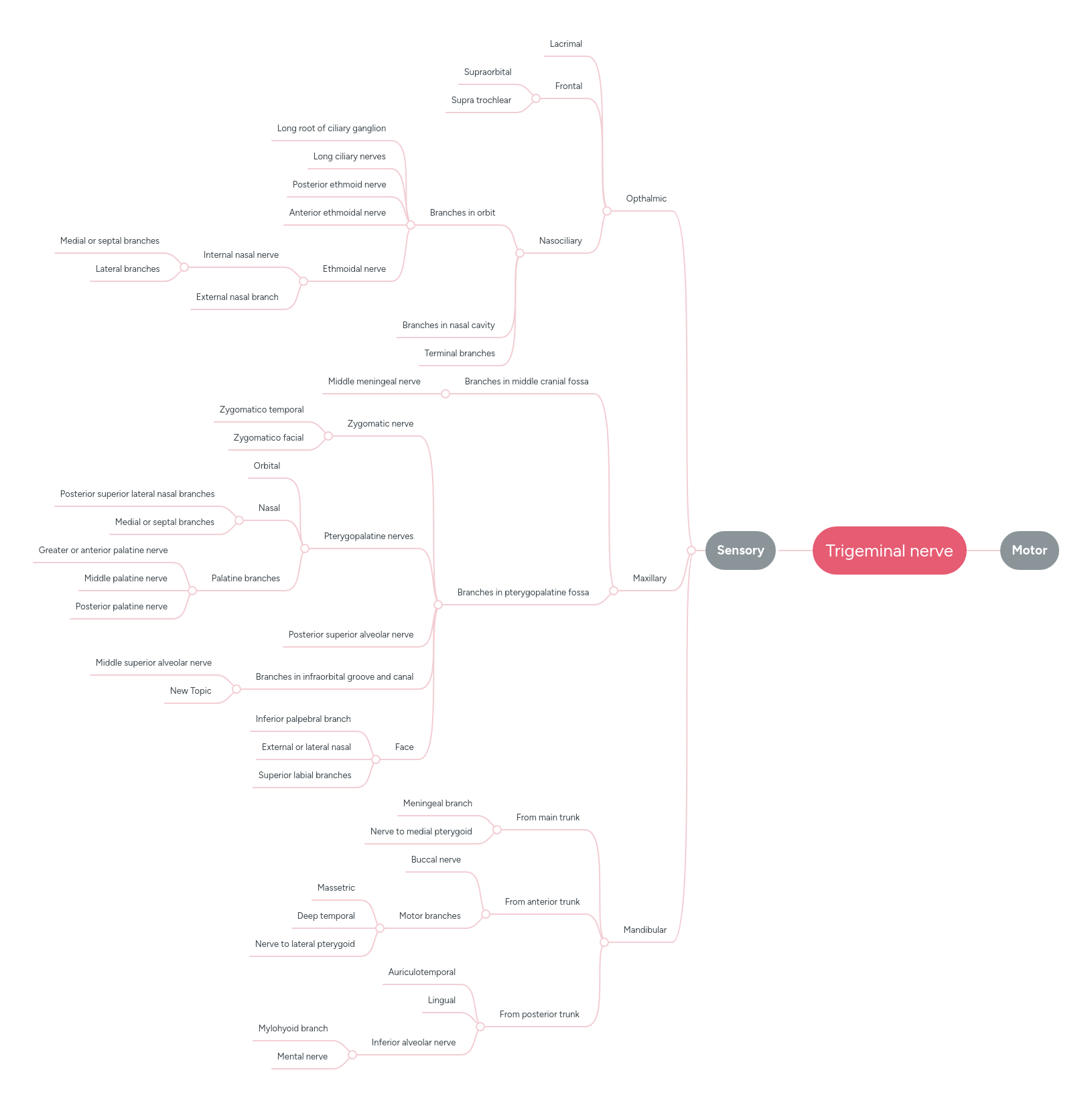 Trigeminal nerve | MindMeister Mind map