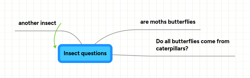 Insect questions | MindMeister Mind map