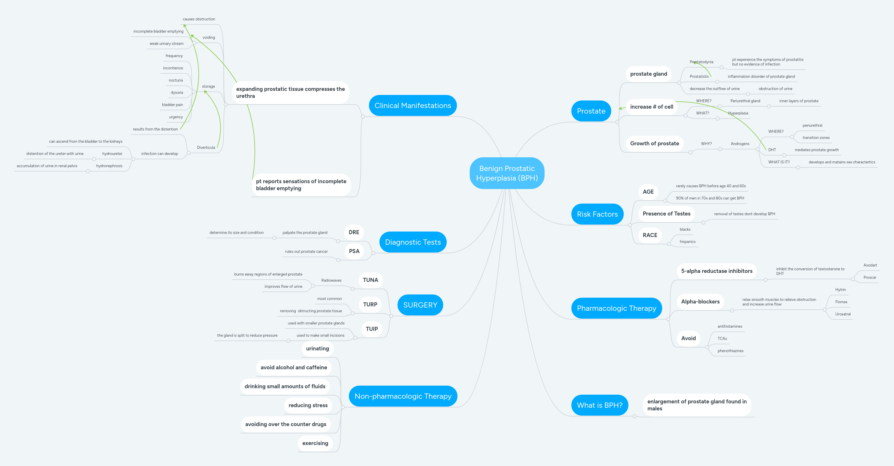 Benign Prostatic Hyperplasia (BPH) | MindMeister Mind Map