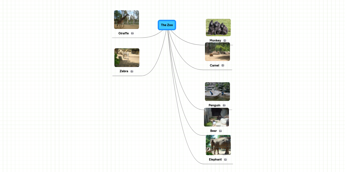 The Zoo | MindMeister Mind Map