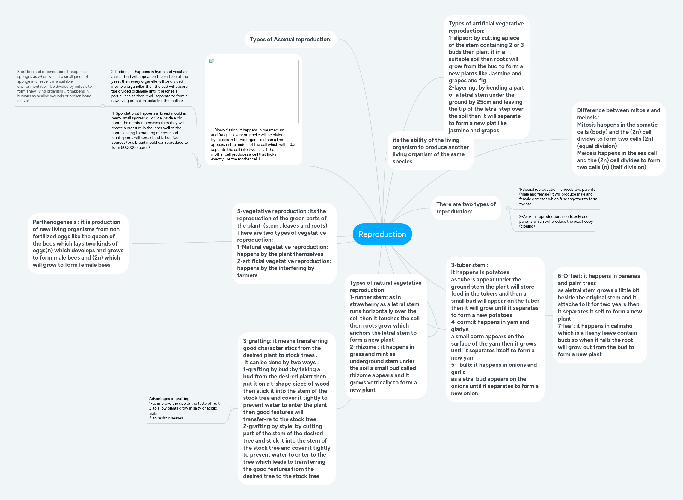 Reproduction | MindMeister Mind map
