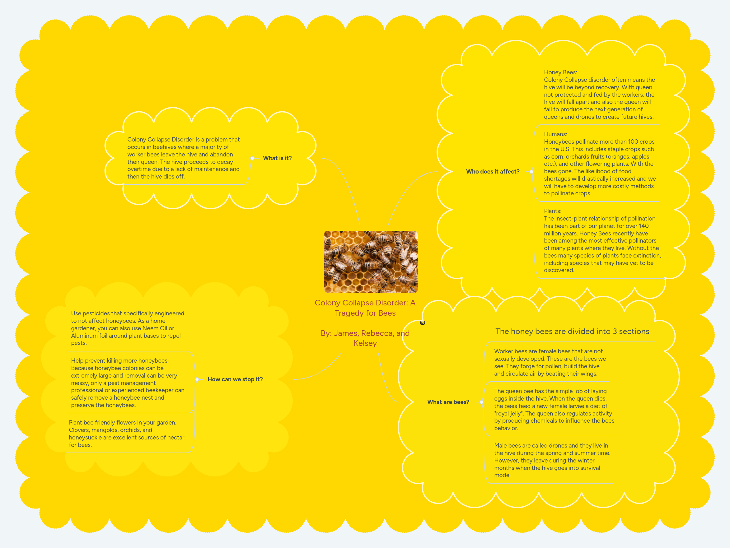 Colony Collapse Disorder: A Tragedy for Bees By:... | MindMeister Mind Map