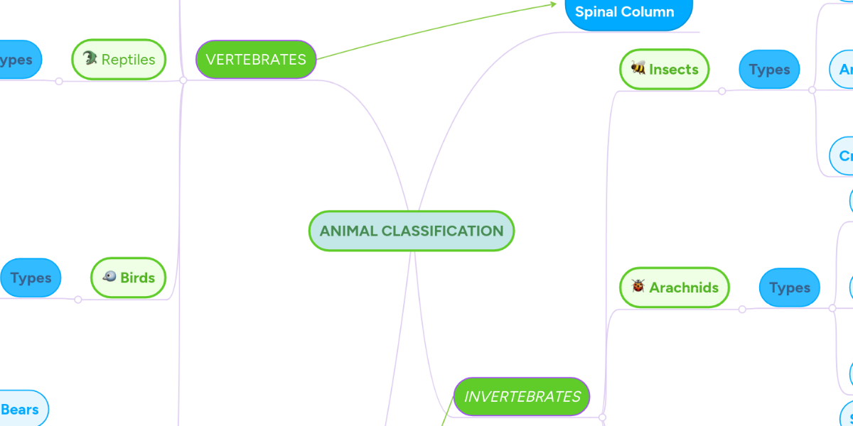 ANIMAL CLASSIFICATION | MindMeister Mind Map