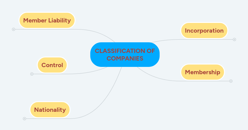 CLASSIFICATION OF COMPANIES | MindMeister Mind Map