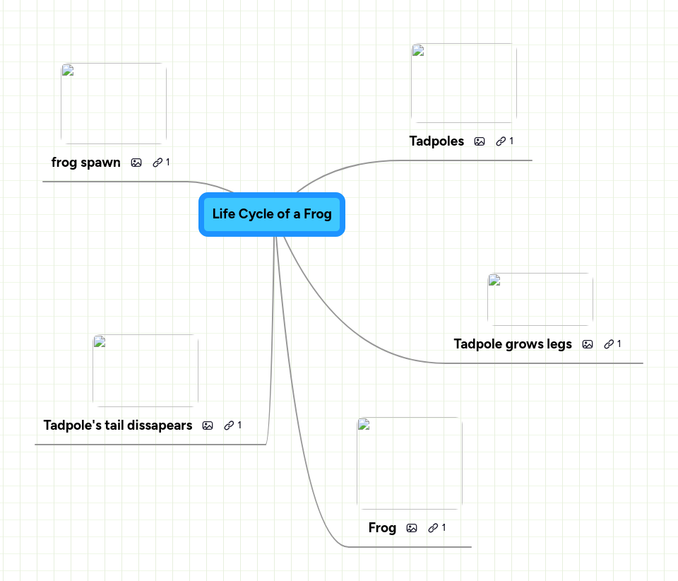 Life Cycle of a Frog | MindMeister Mind map