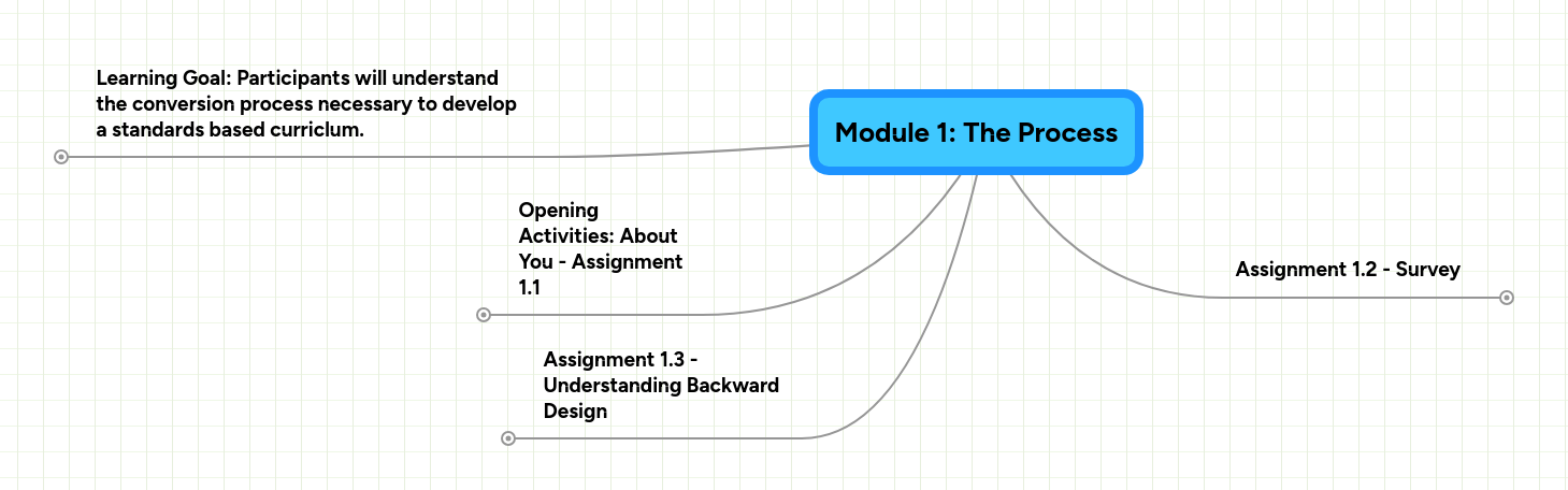 Module 1: The Process | MindMeister Mind map
