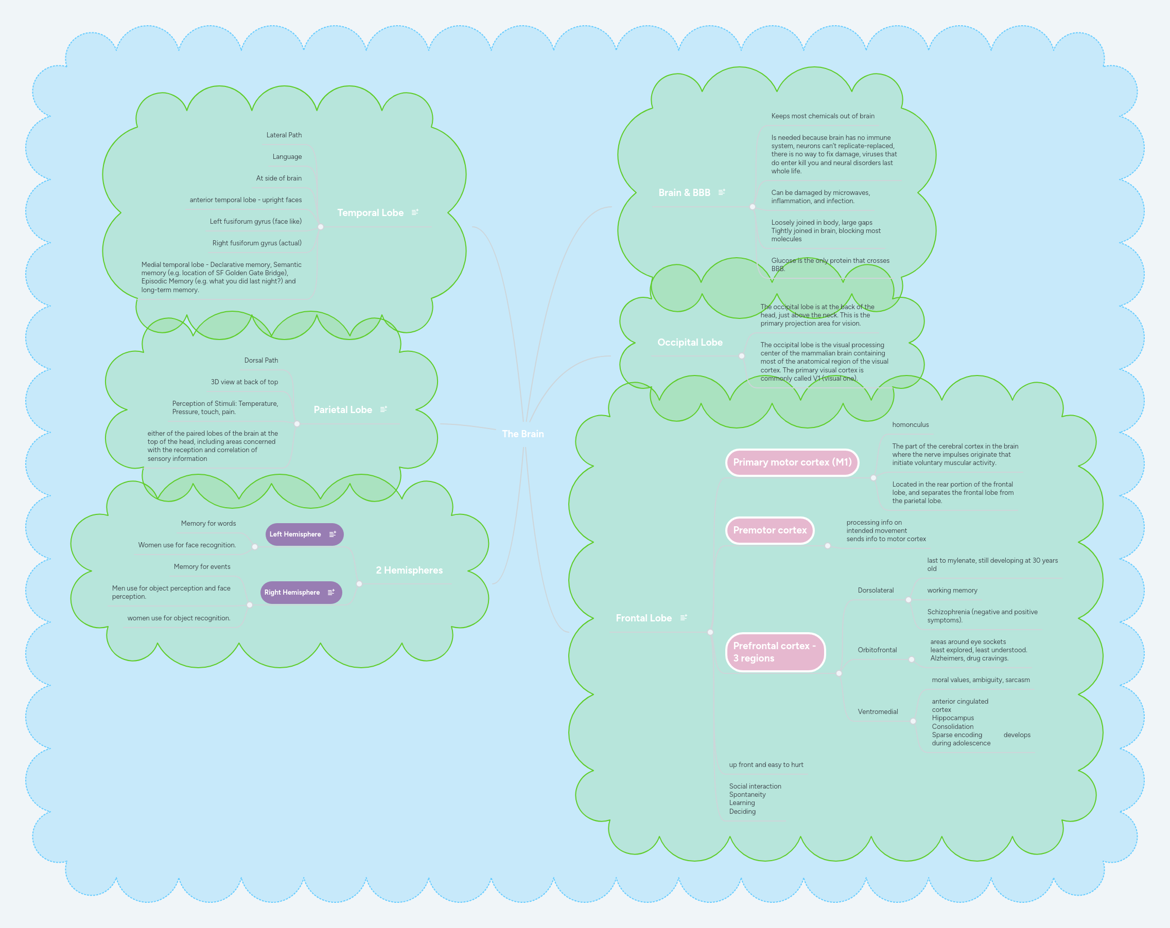 The Brain | MindMeister Mind map