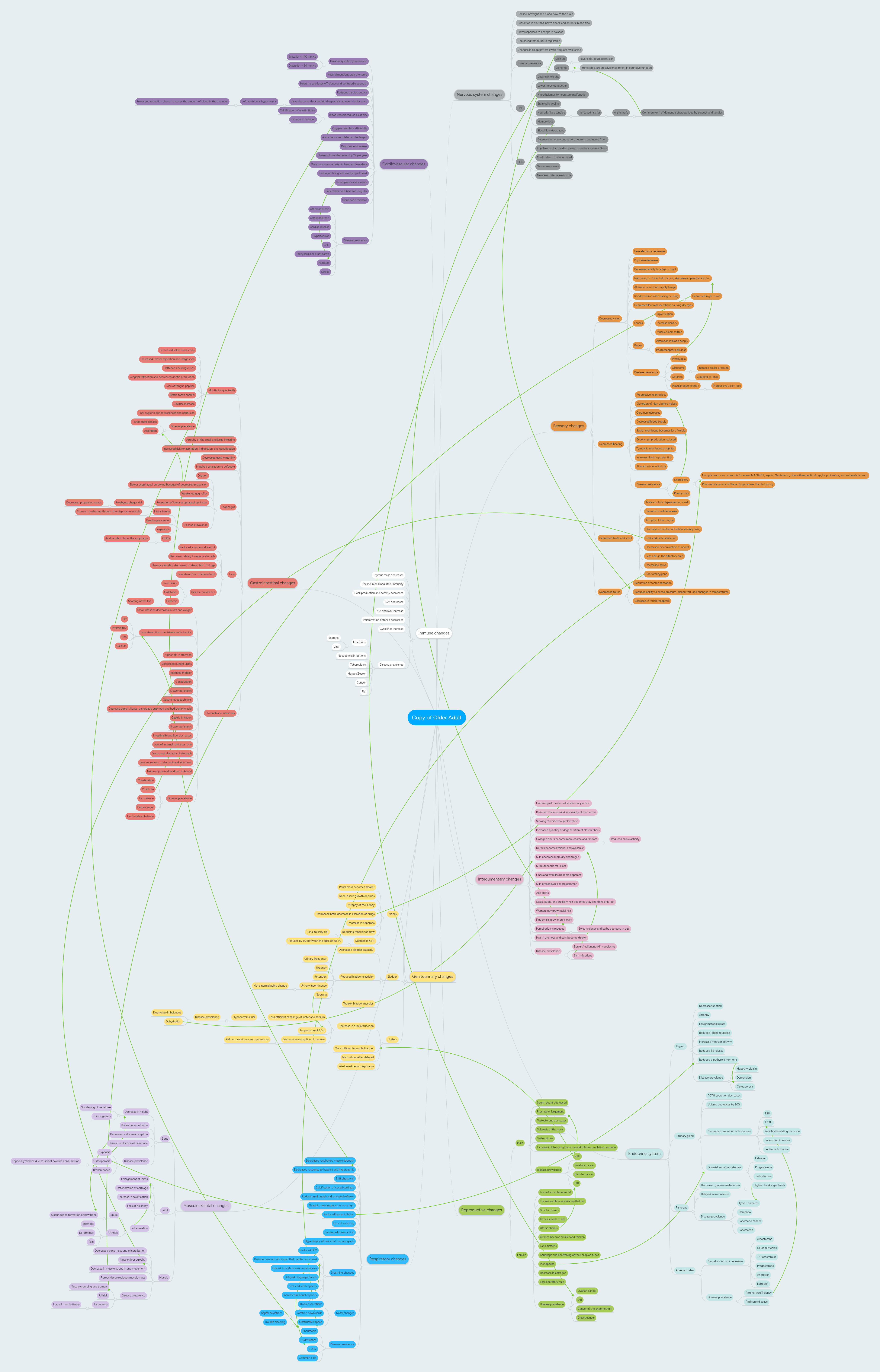 Copy of Older Adult | MindMeister Mind map