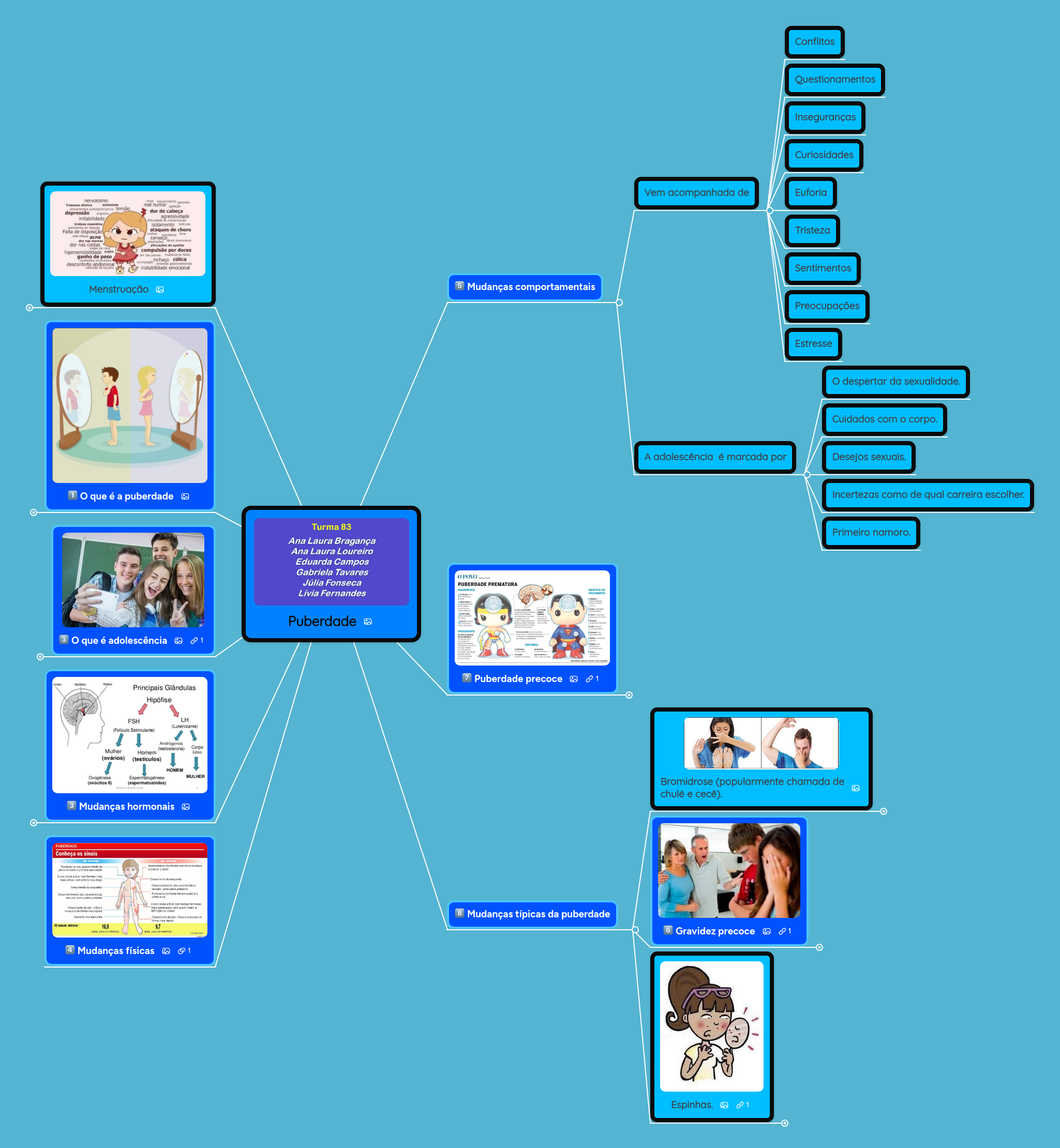 Puberdade | MindMeister Mapa mental