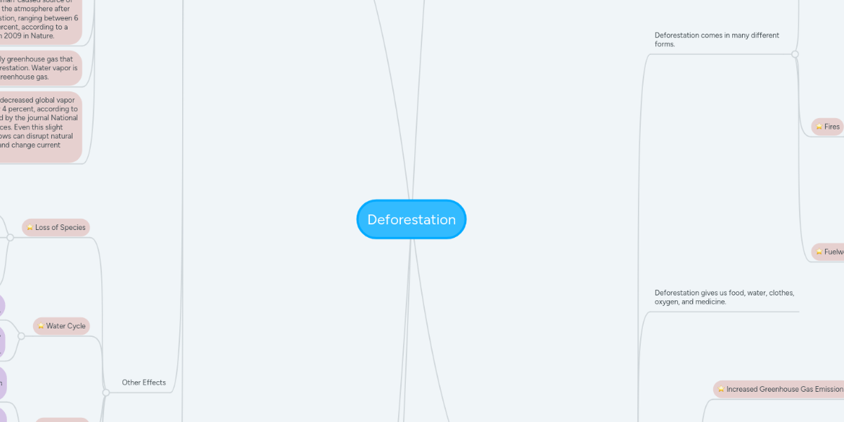 Deforestation | MindMeister Mind Map