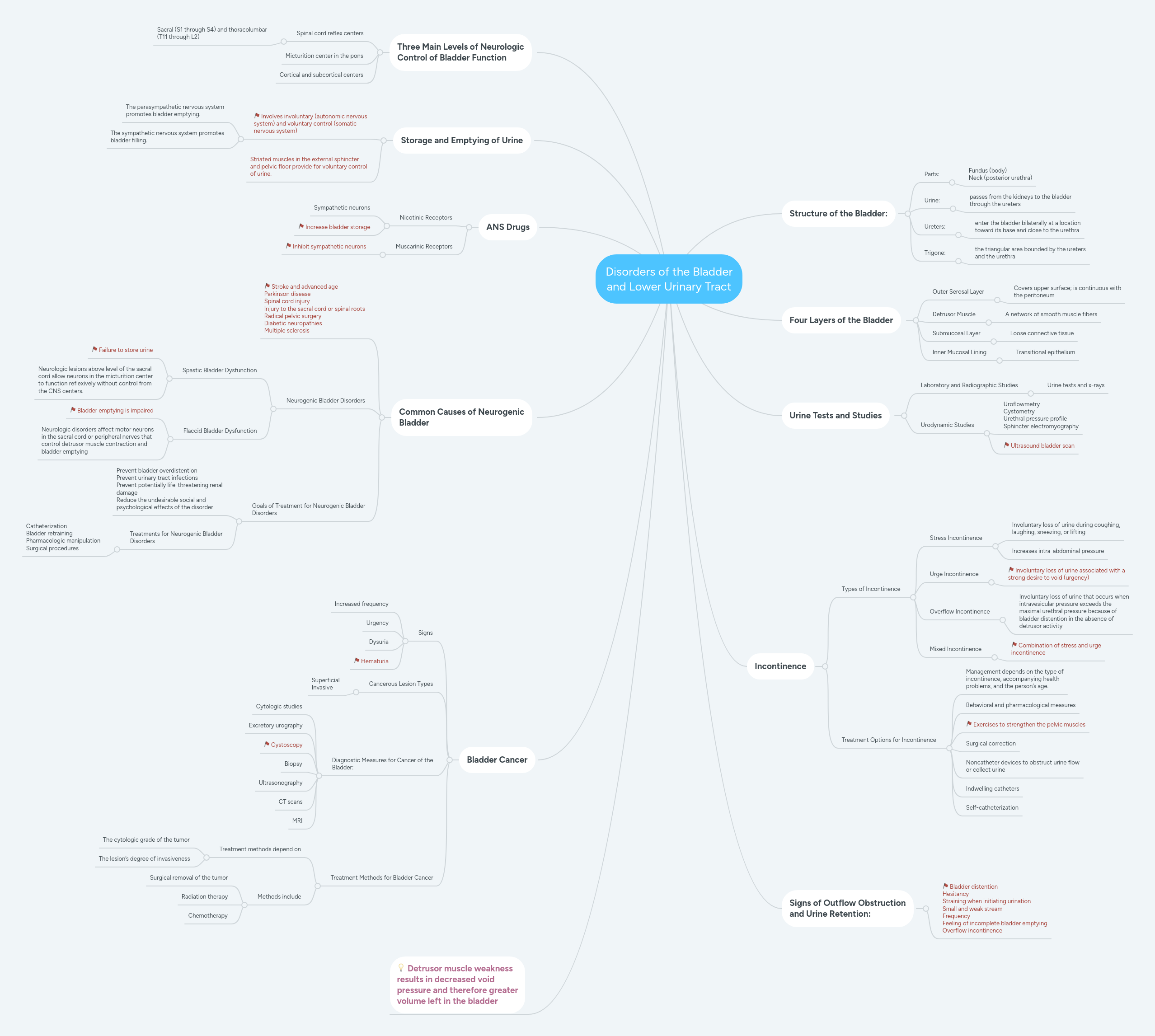 Disorders of the Bladder and Lower Urinary Tract | MindMeister Mind map