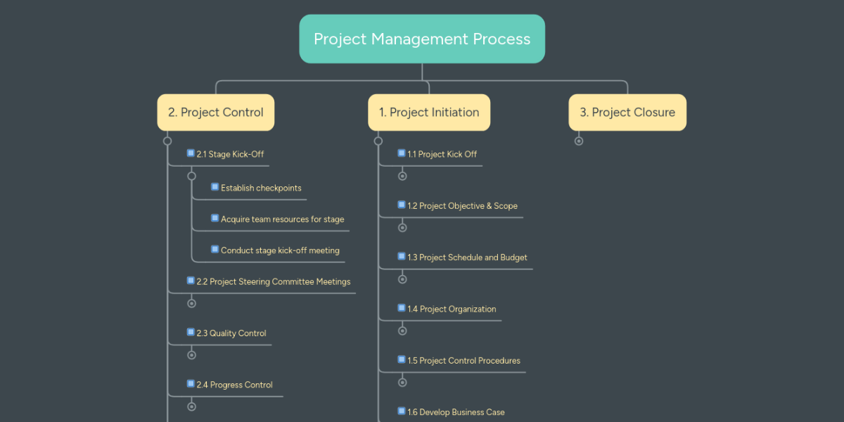 Project Management Process | MindMeister Mind Map