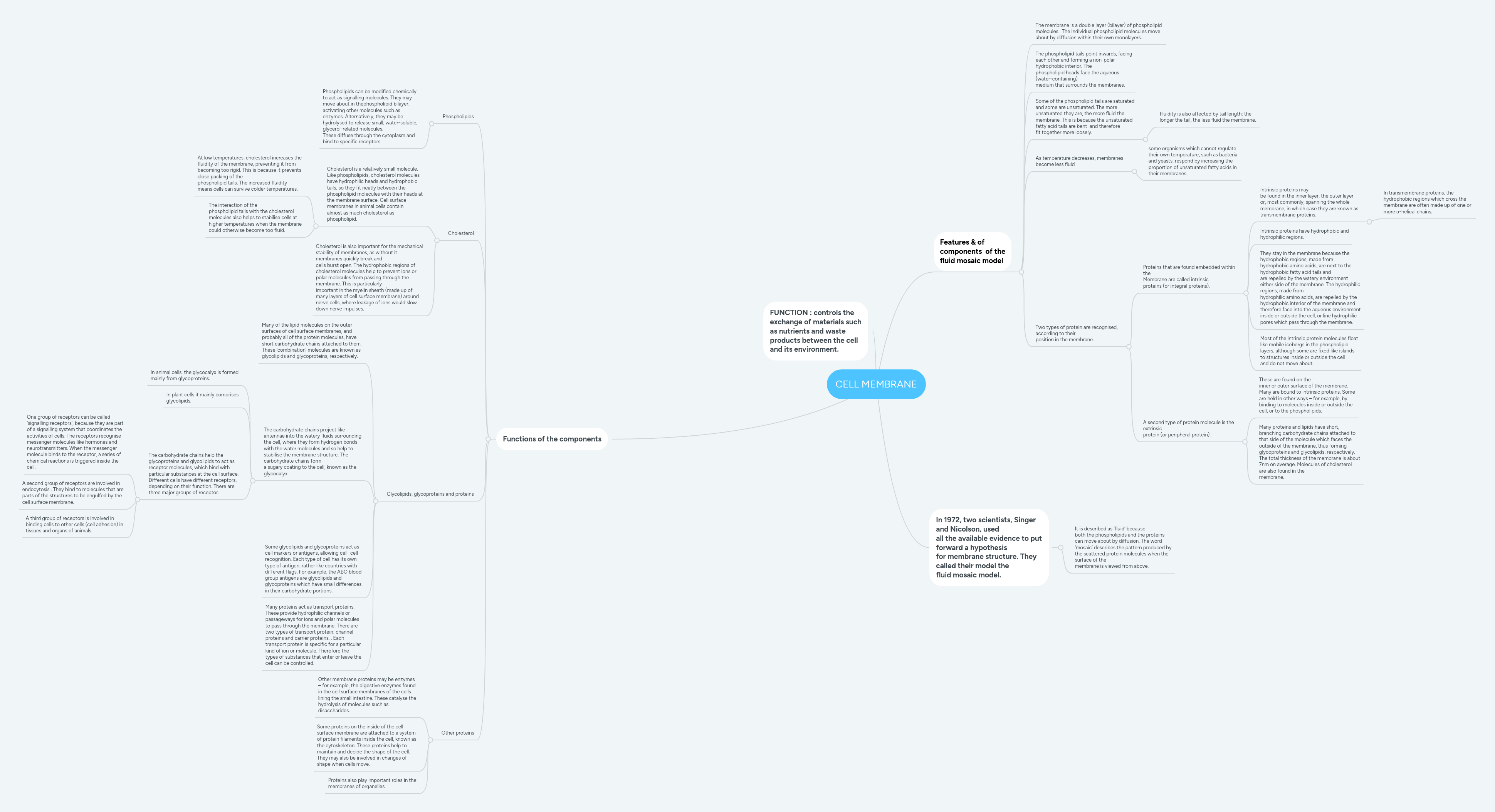 CELL MEMBRANE | MindMeister Mind Map