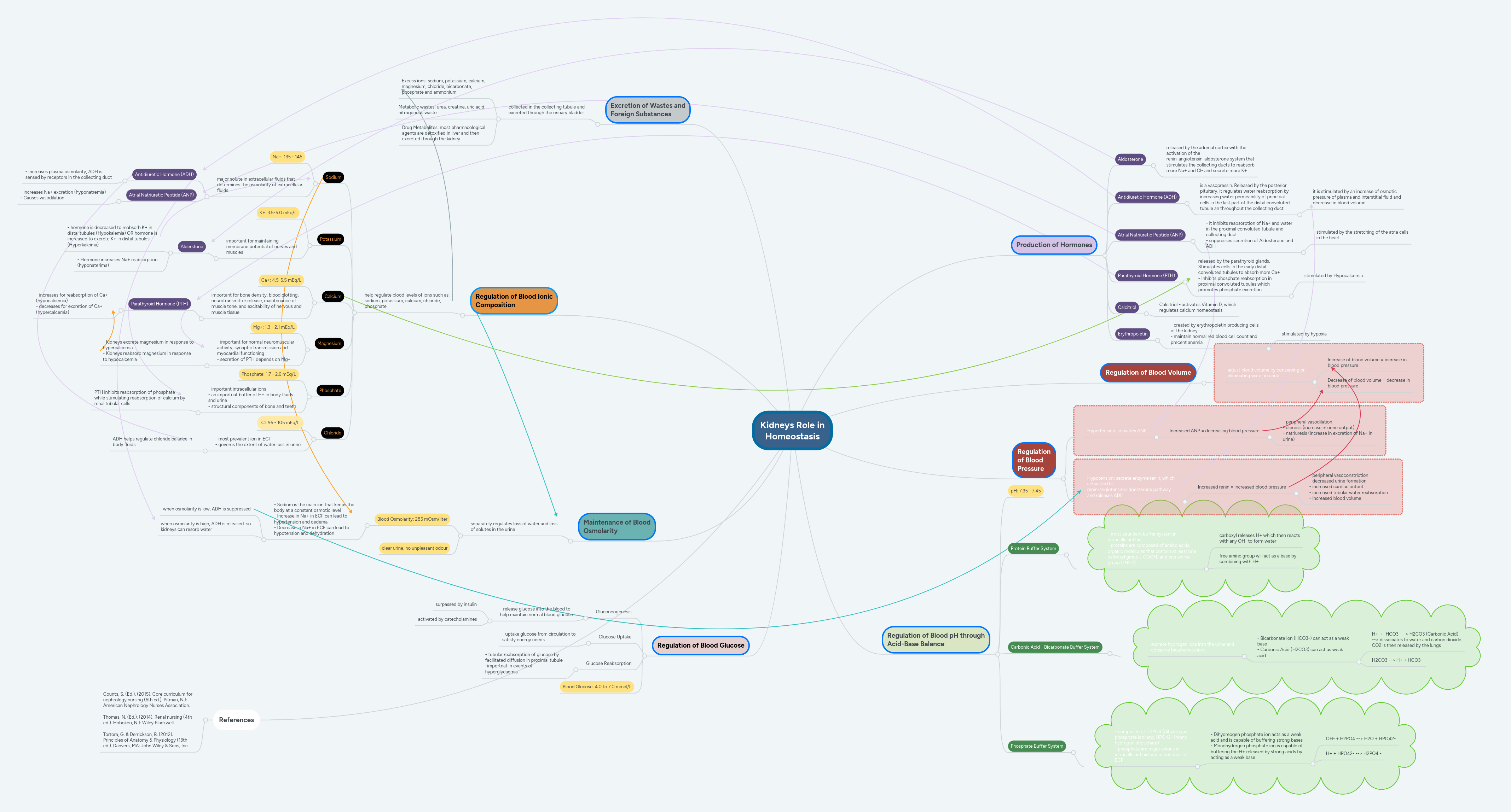 Kidneys Role in Homeostasis | MindMeister Mind Map