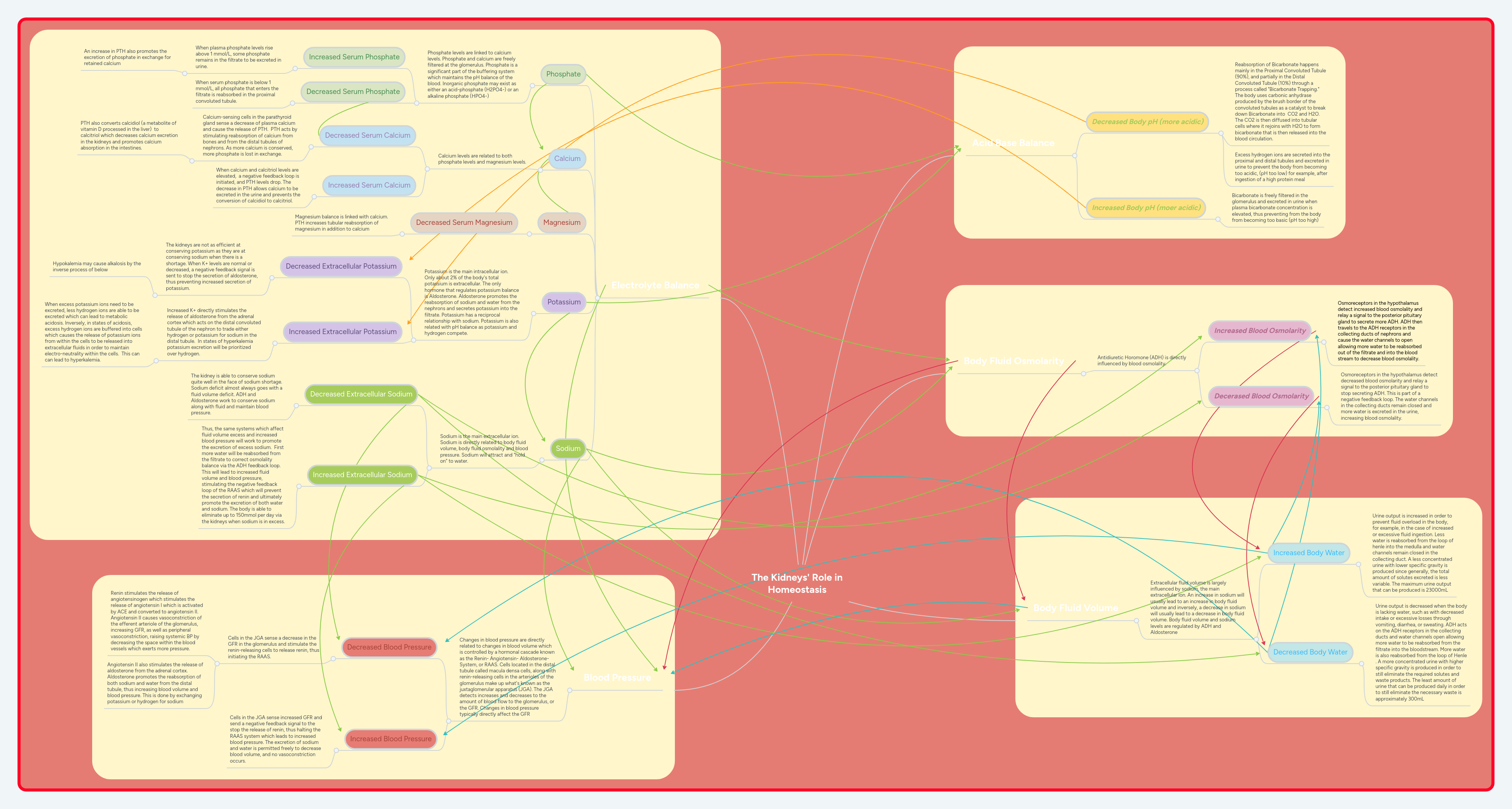 The Kidneys' Role in Homeostasis | MindMeister Mind Map