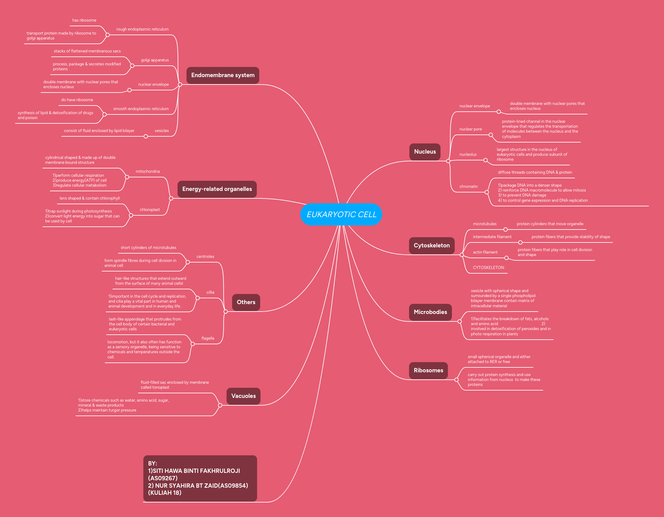 Eukaryotic Cell Mindmeister Mind Map - vrogue.co