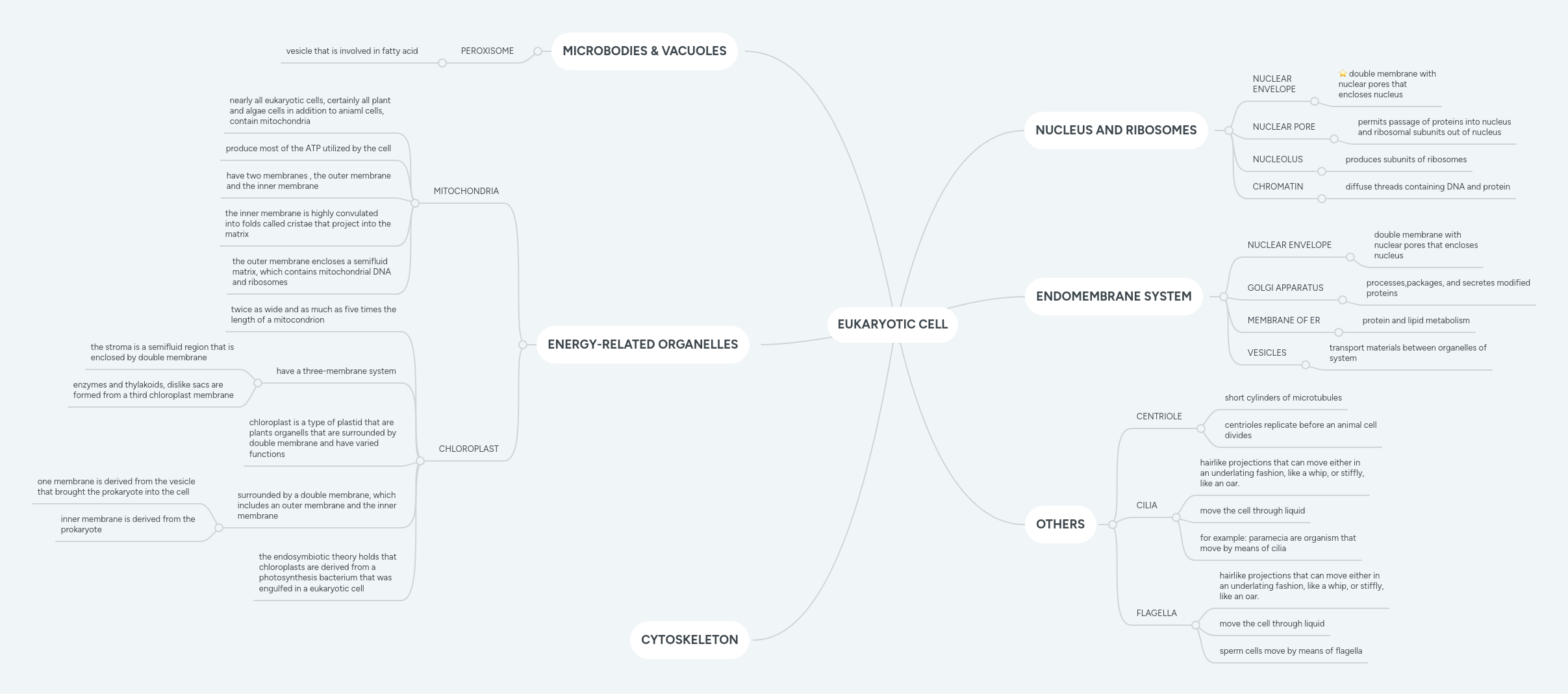 EUKARYOTIC CELL | MindMeister Mind map