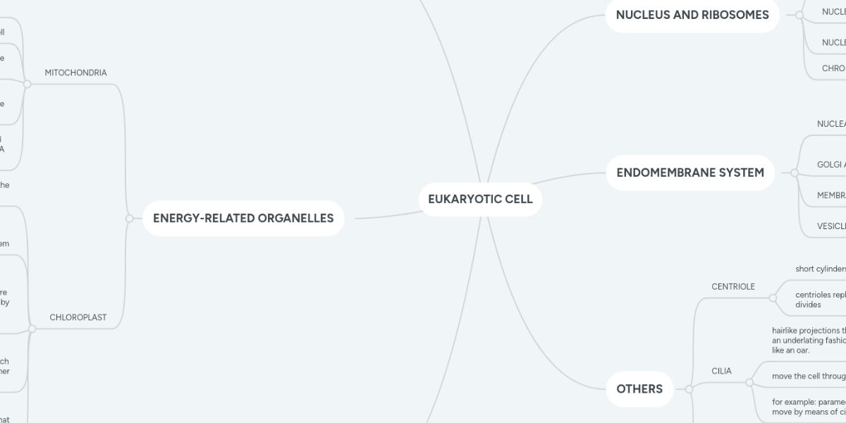 EUKARYOTIC CELL | MindMeister Mind Map