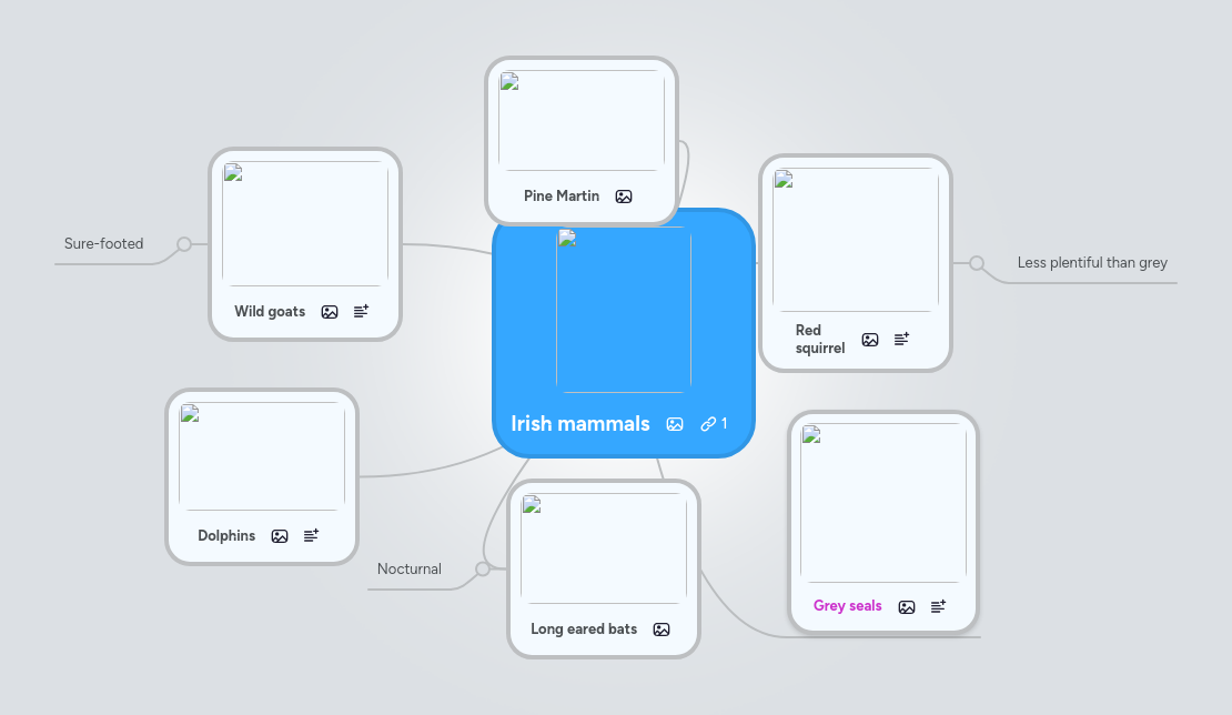 Irish mammals | MindMeister Mind Map