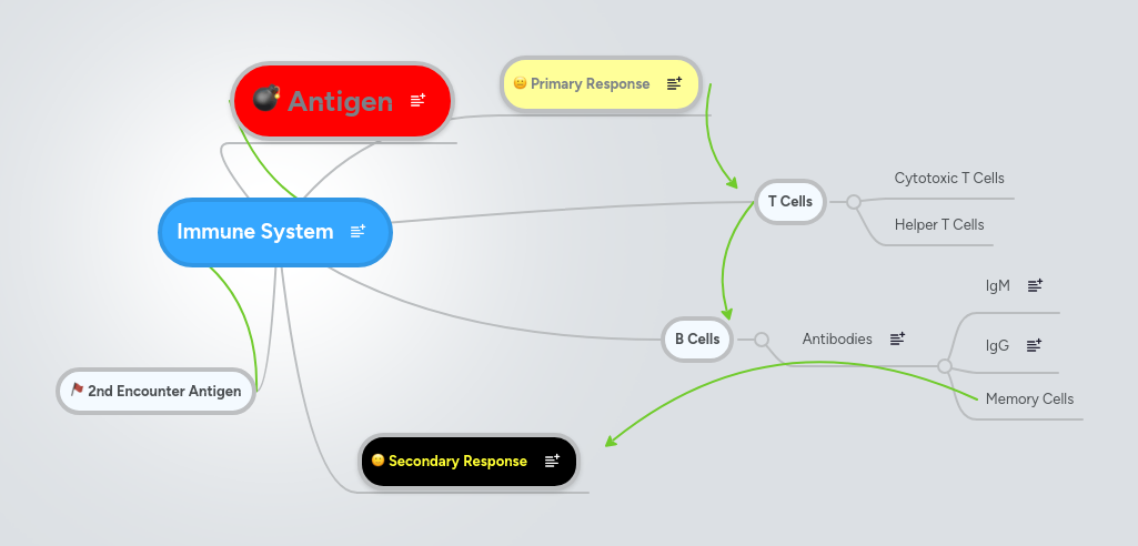 Immune System | MindMeister Mind map