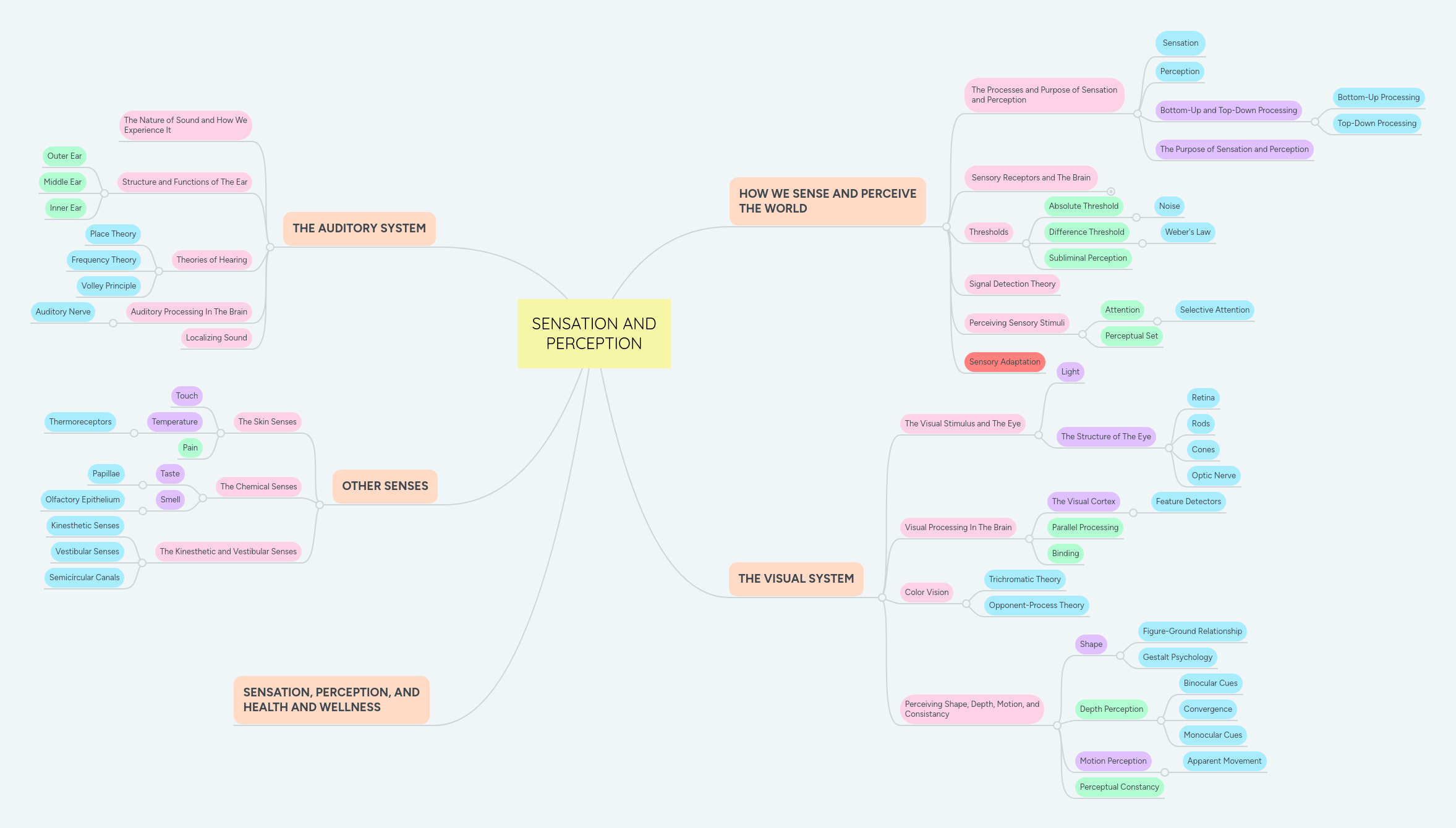SENSATION AND PERCEPTION | MindMeister Mind map