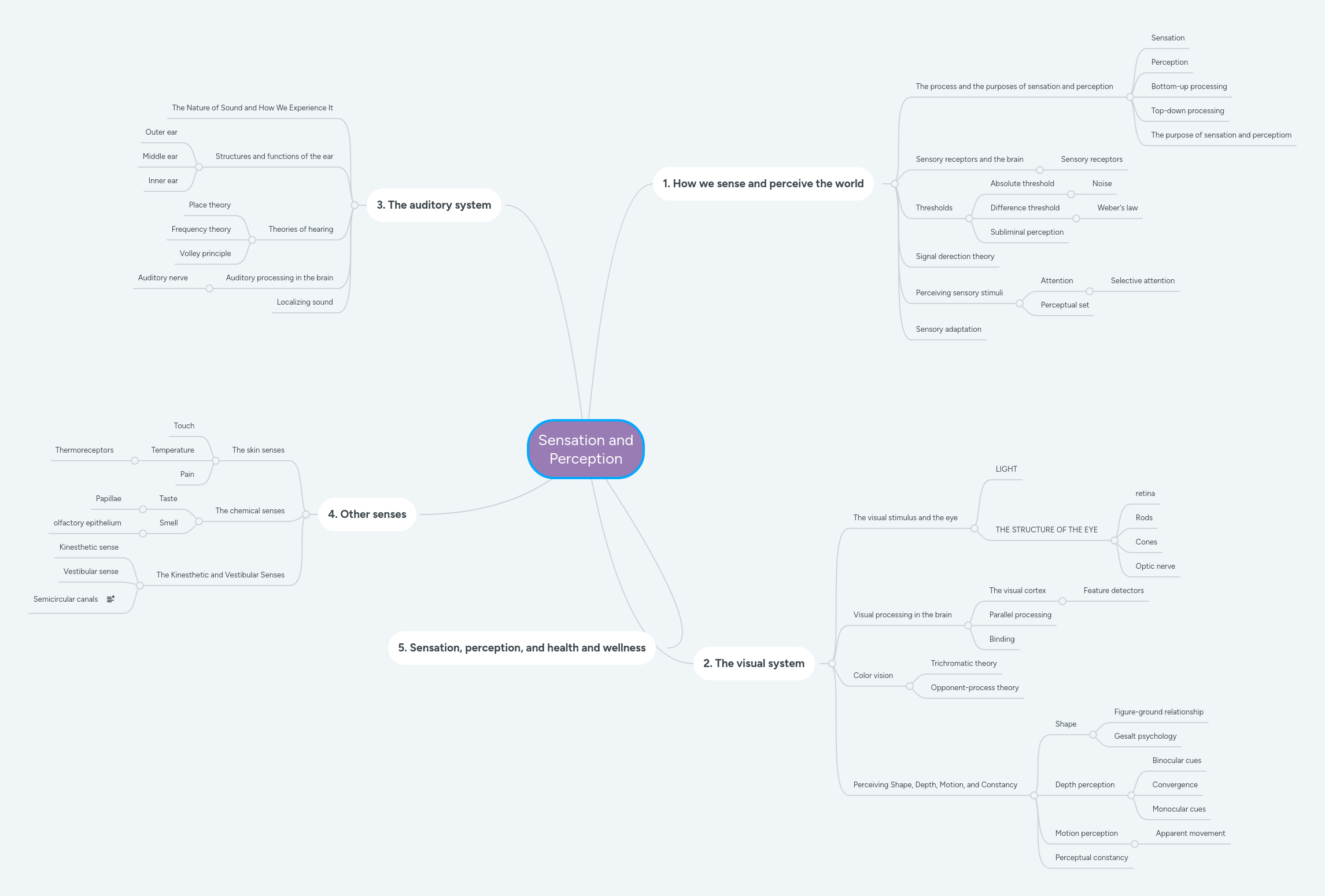Sensation and Perception | MindMeister Mind Map