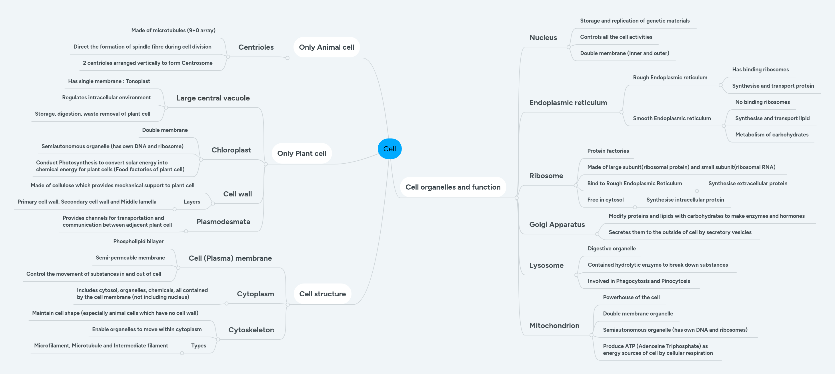 Cell | MindMeister Mind map