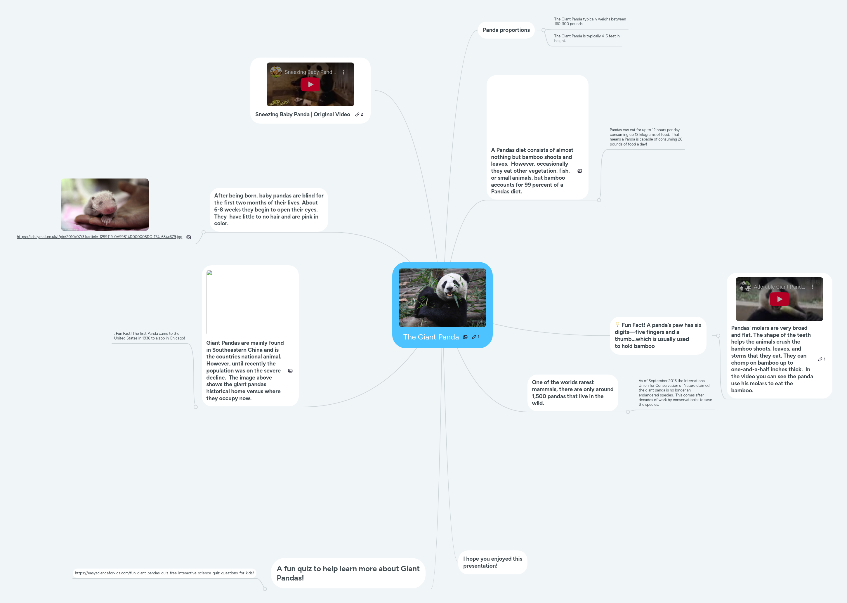 The Giant Panda | MindMeister Mind map