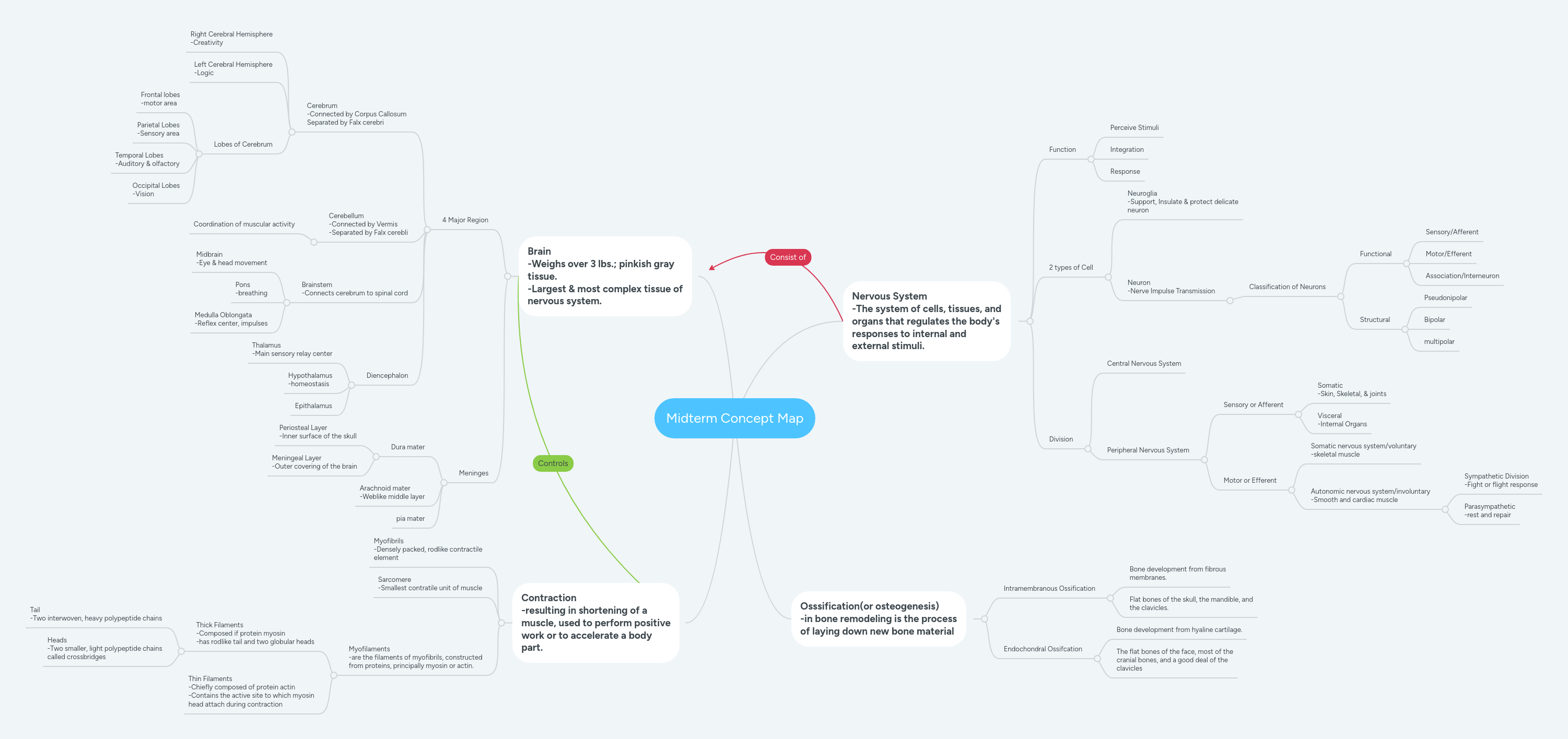 Midterm Concept Map | MindMeister Mind Map