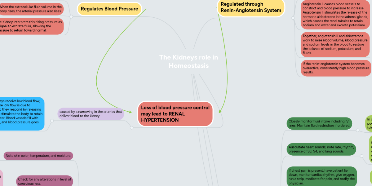 The Kidneys role in Homeostasis | MindMeister Mind Map