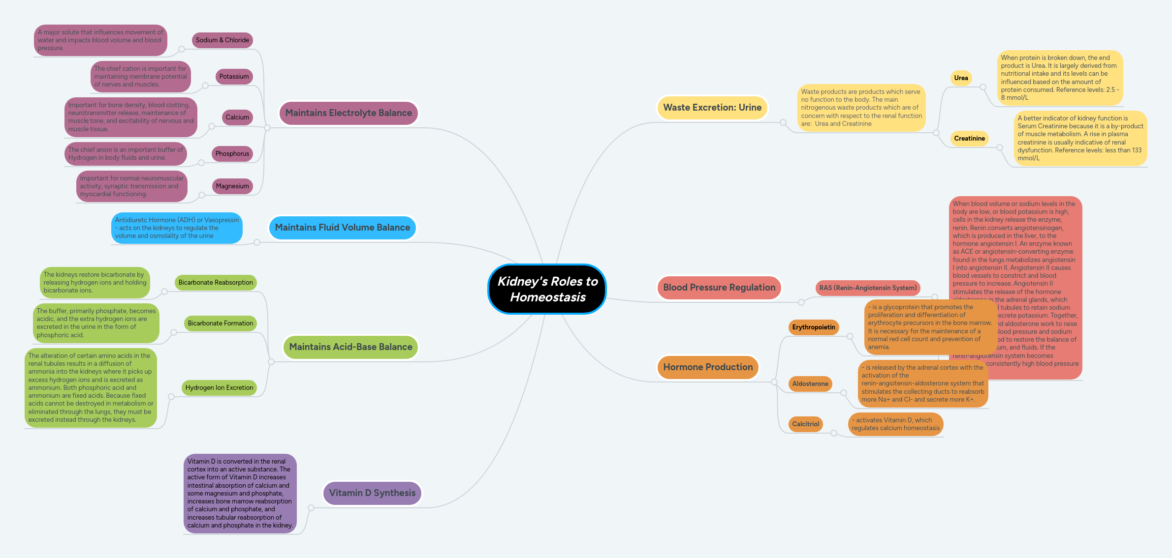 Kidney's Roles to Homeostasis | MindMeister Mind Map