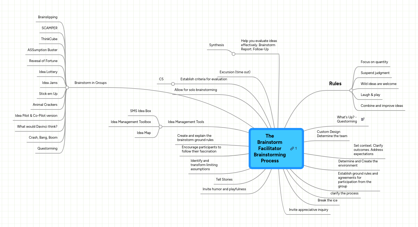 The Brainstorm Facilitator Brainstorming Process | MindMeister Mind Map