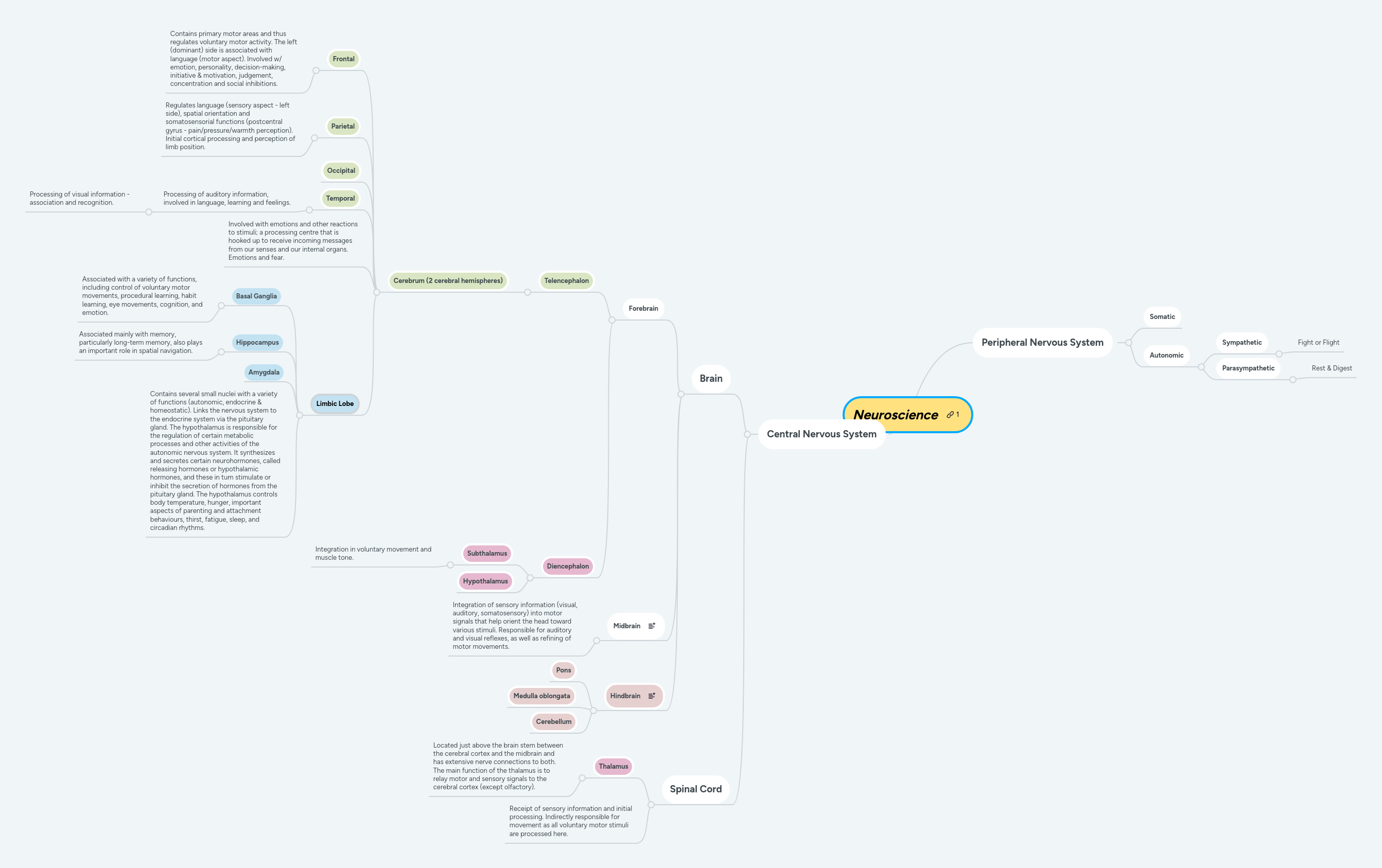 Neuroscience | MindMeister Mind Map