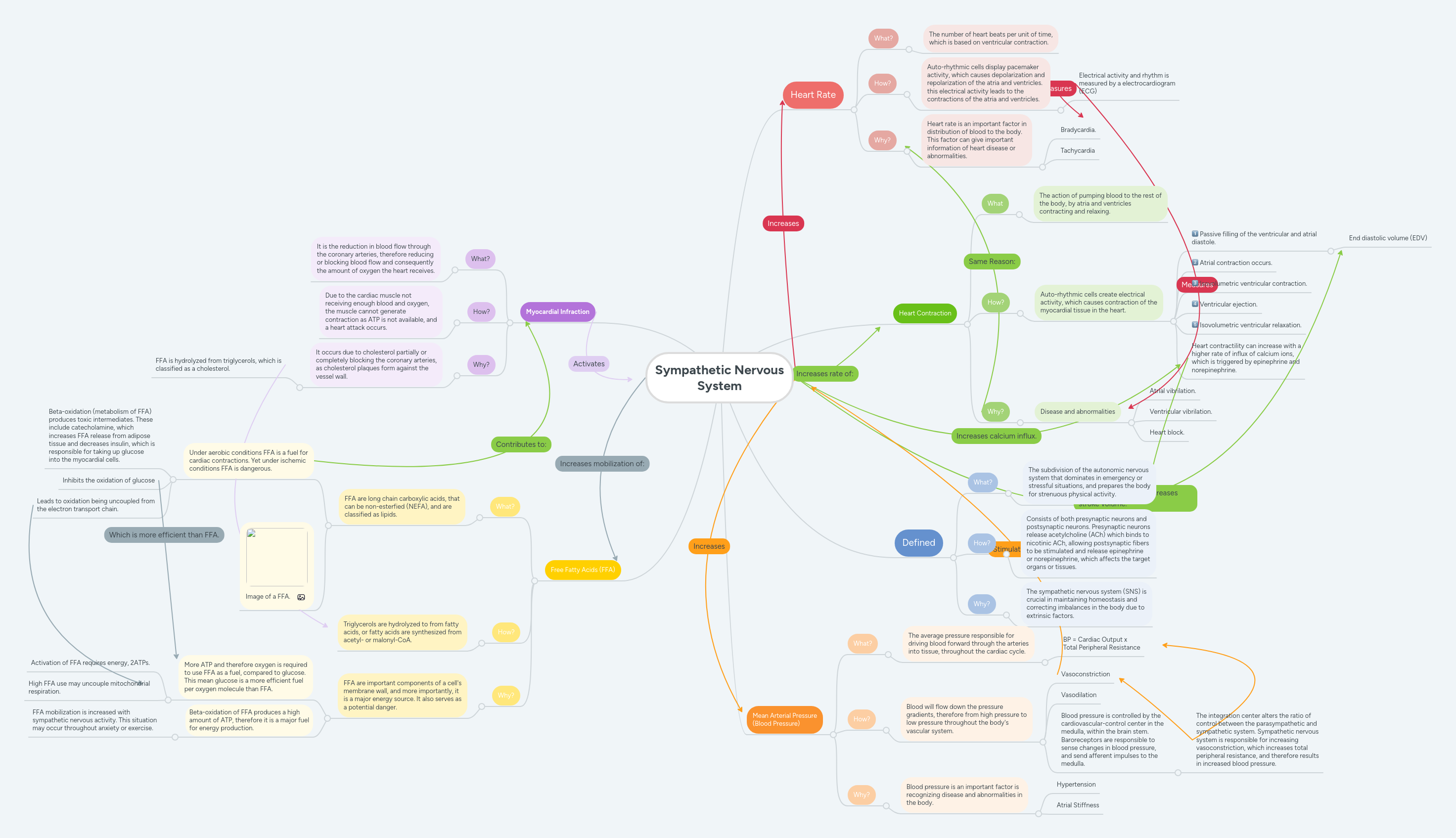 Sympathetic Nervous System | MindMeister Mind map